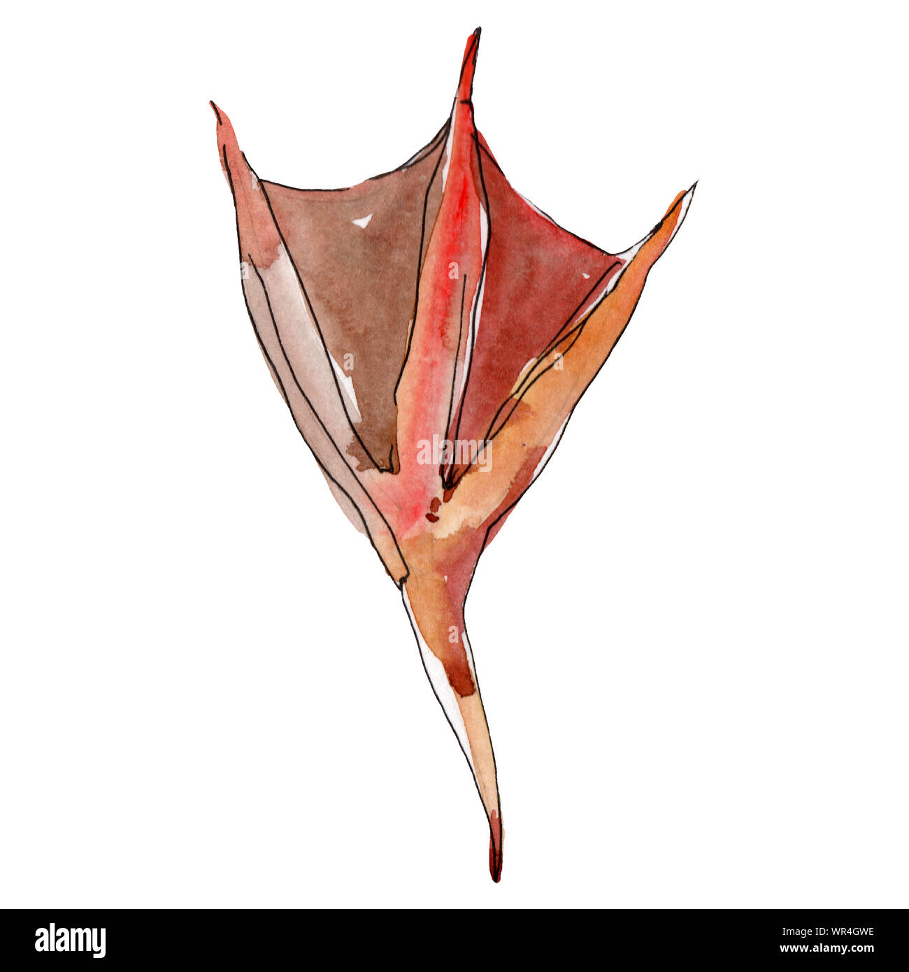 Duck flipper farm bird isolated. Watercolor background illustration set ...