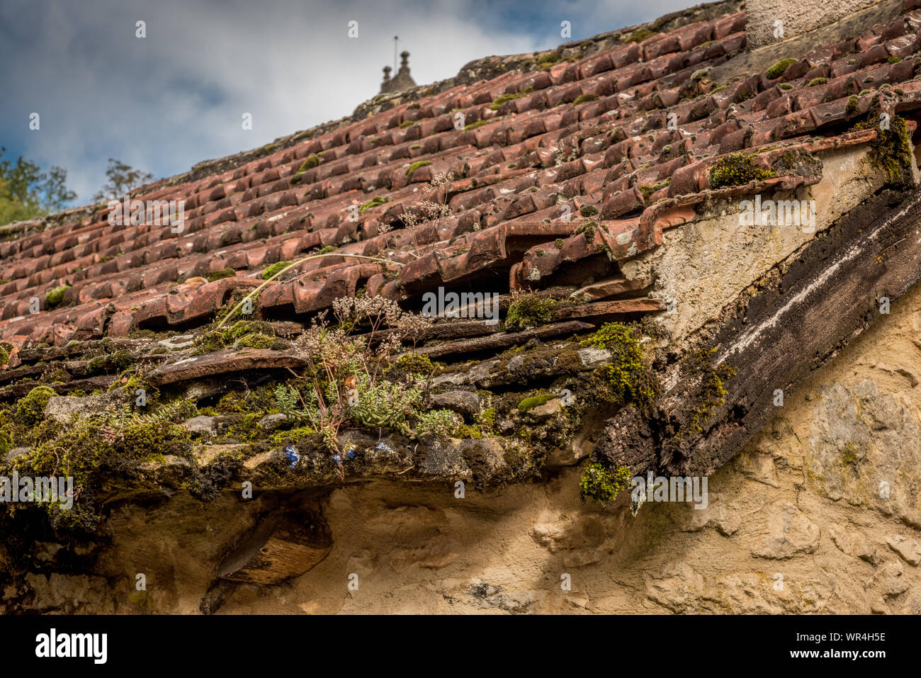 Rooftop detail, Castelnaud-la-Chapelle, France Stock Photo - Alamy