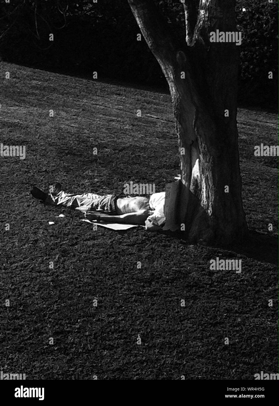 Sleeping Under The Tree Stock Photos & Sleeping Under The Tree Stock ...