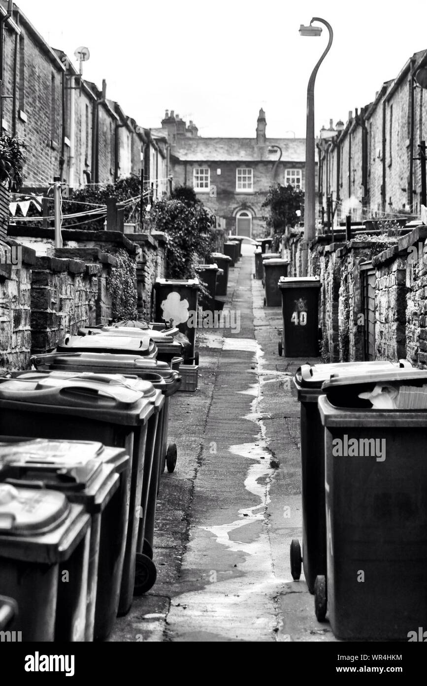 Bin in alley hi-res stock photography and images - Alamy