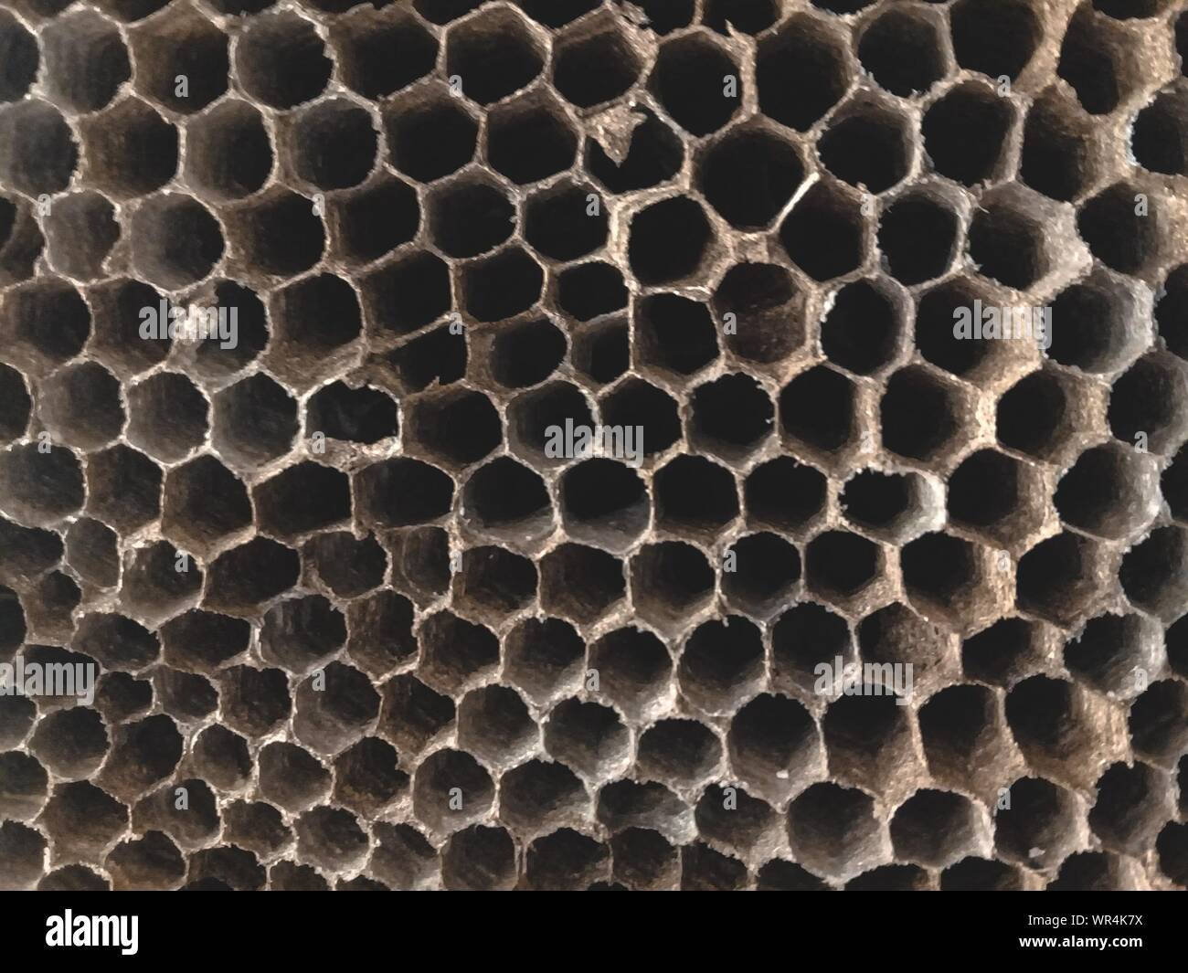 Beehive shape hi-res stock photography and images - Alamy