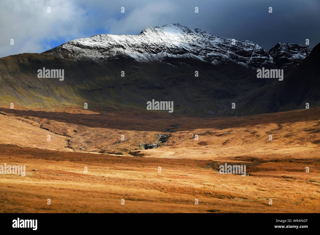 Scotland free or a desert hi-res stock photography and images - Alamy