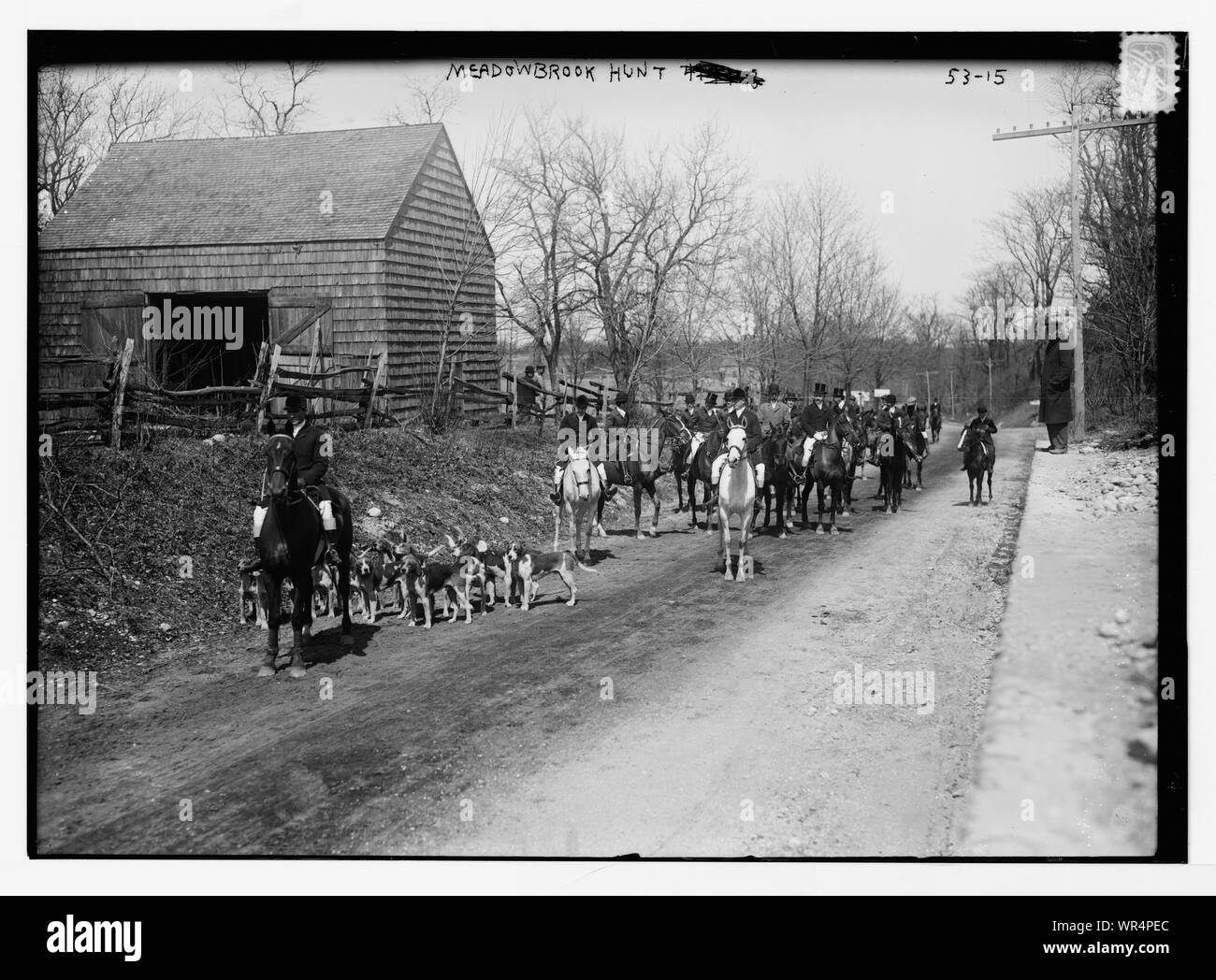 Meadowbrook hi-res stock photography and images - Alamy