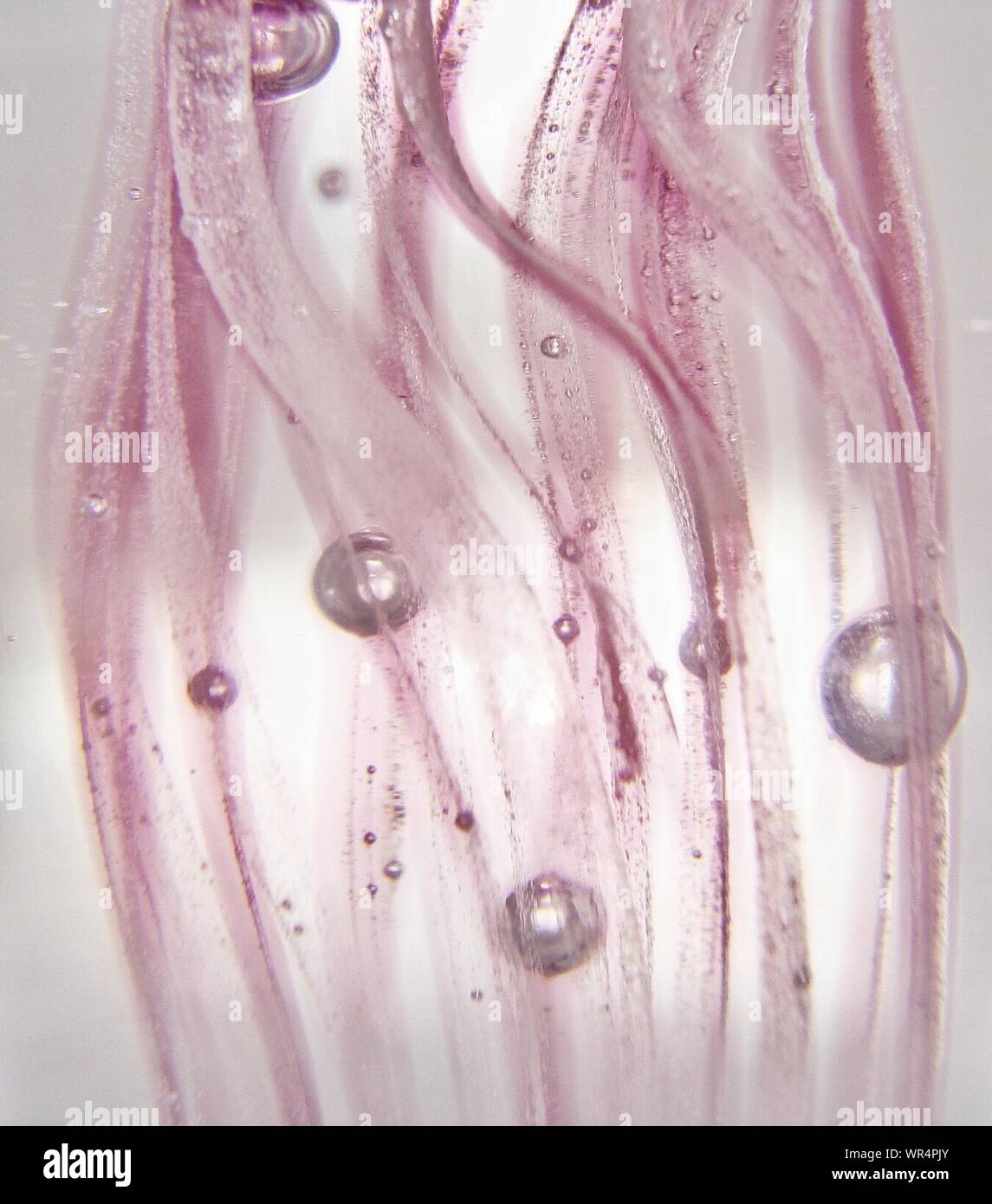 People with animal limbs hi-res stock photography and images - Alamy