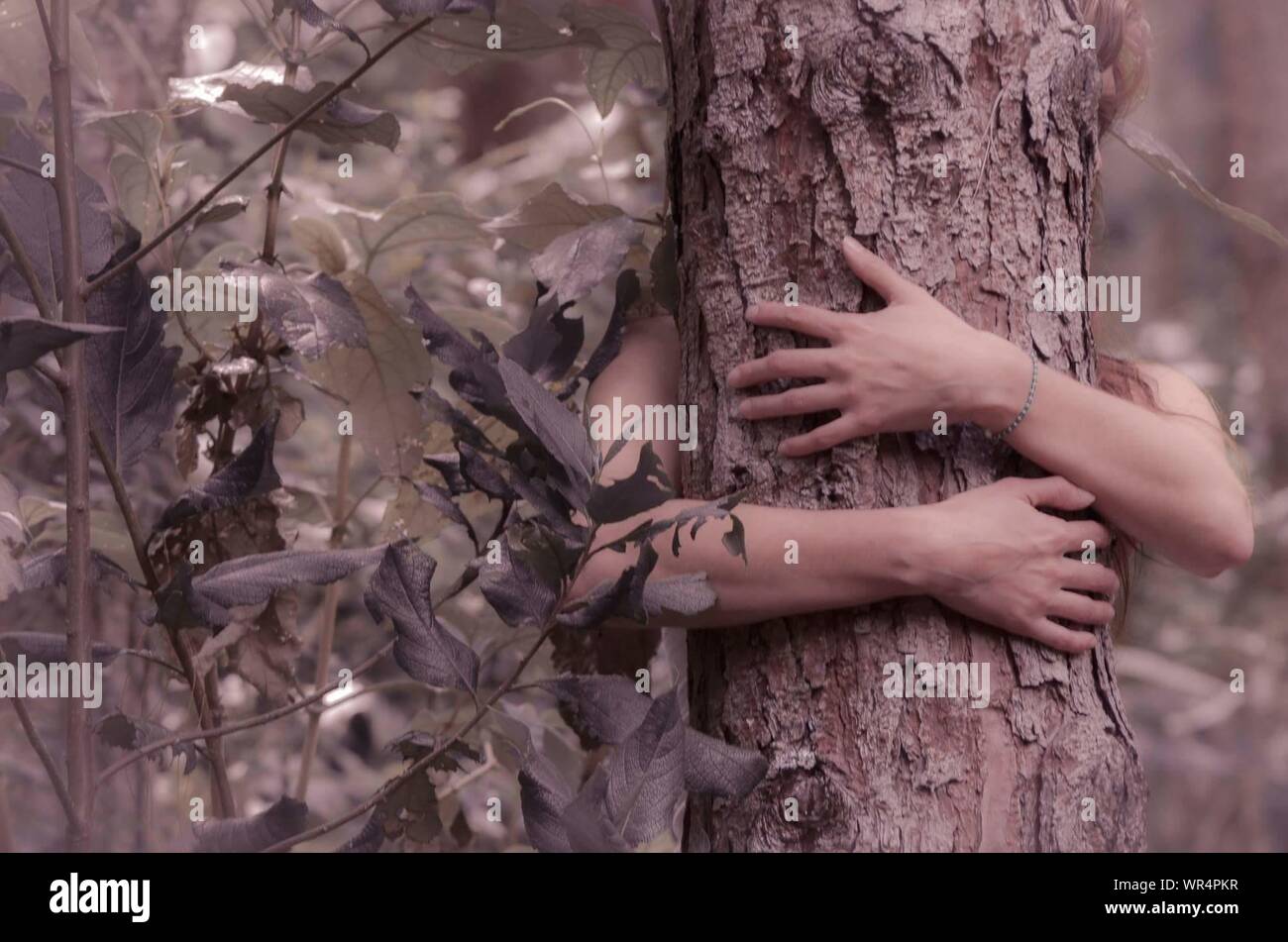 Person touching tree branch hi-res stock photography and images - Alamy