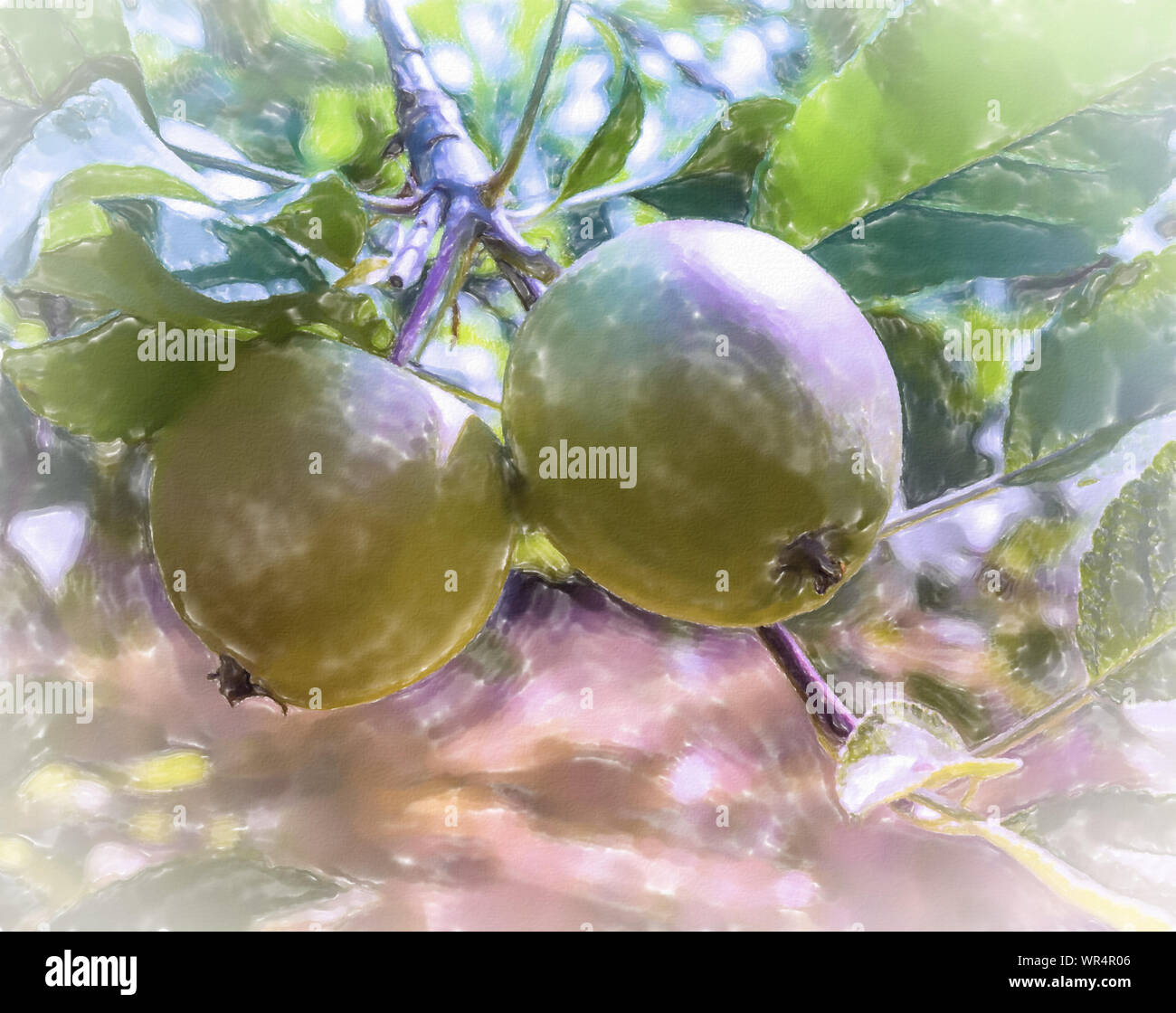 Two trees grow side side hi-res stock photography and images - Alamy