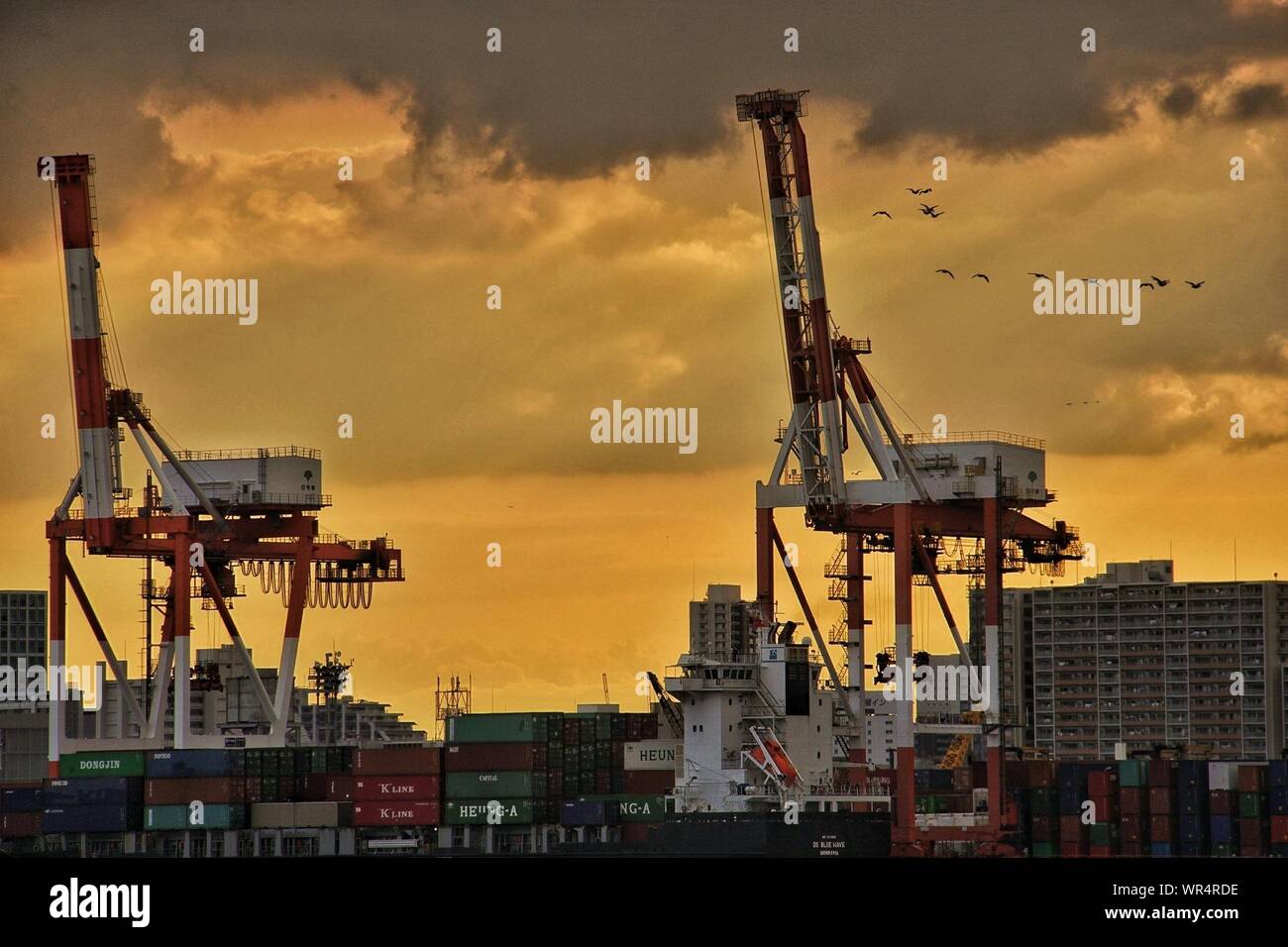 Shipping containers on dock hi-res stock photography and images - Alamy