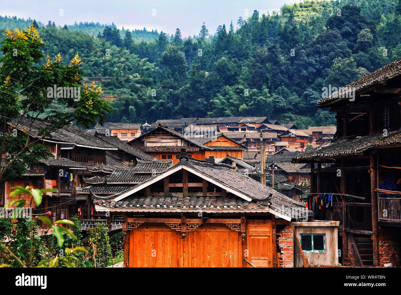 Trees and village hi-res stock photography and images - Alamy