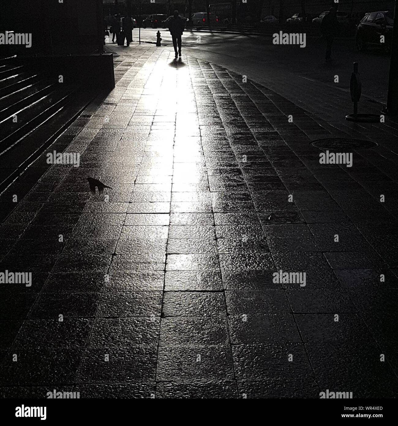 Distant view silhouette man on hi-res stock photography and images - Alamy