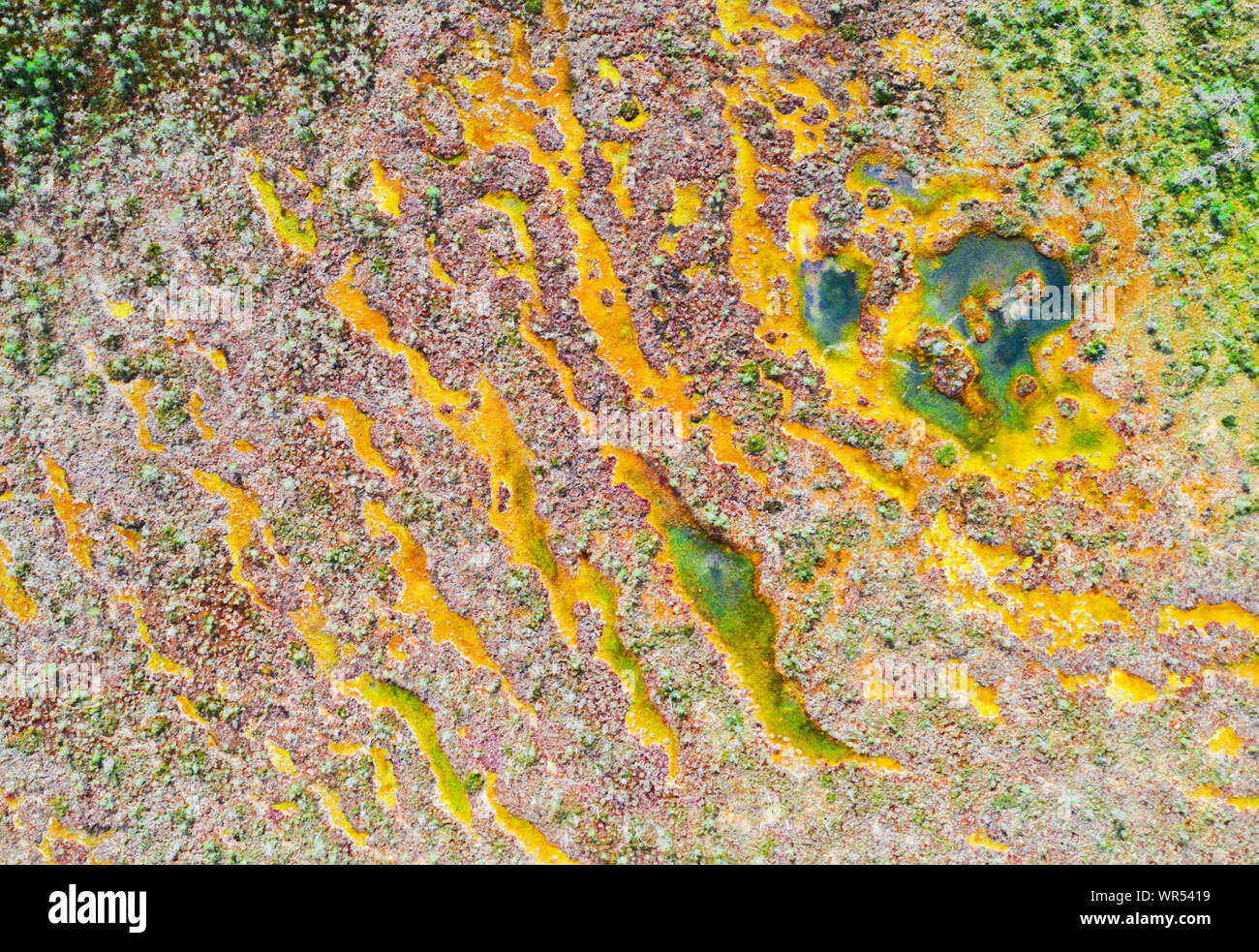 Swamp aerial hi-res stock photography and images - Alamy