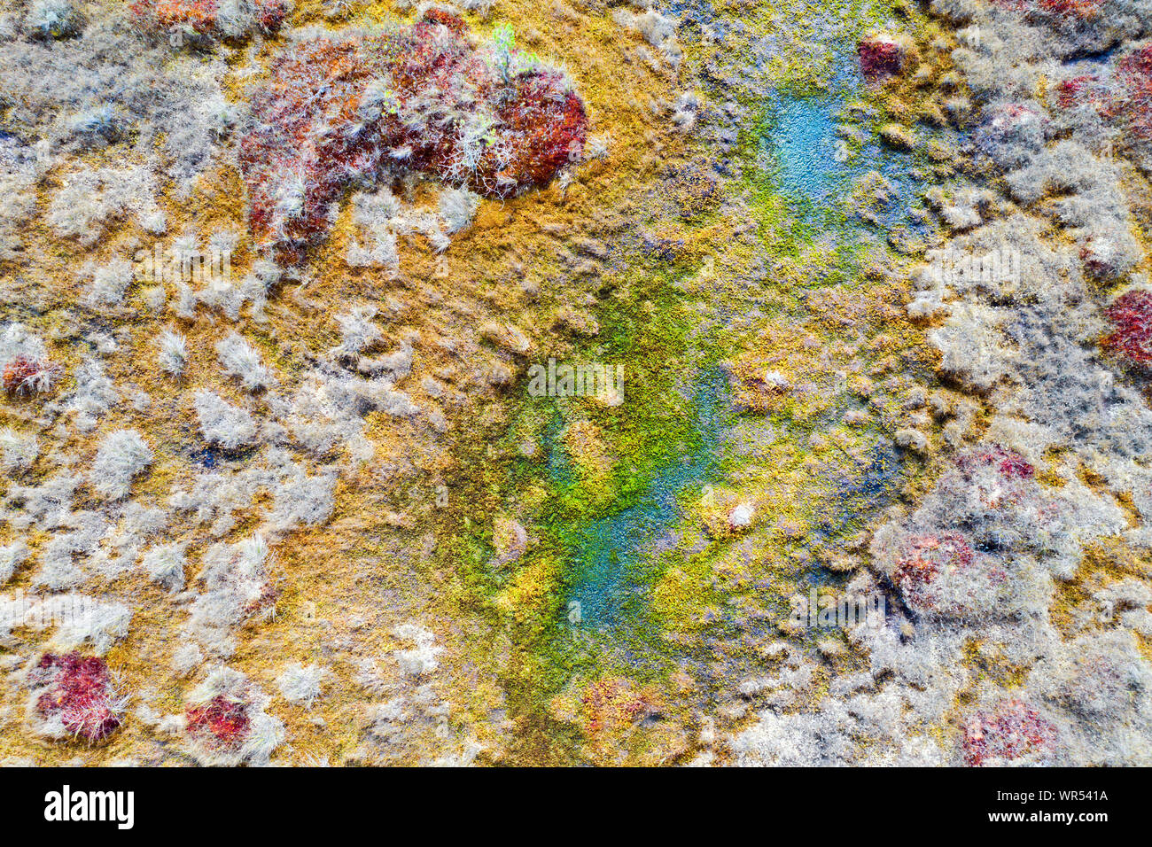 Swamp aerial hi-res stock photography and images - Alamy