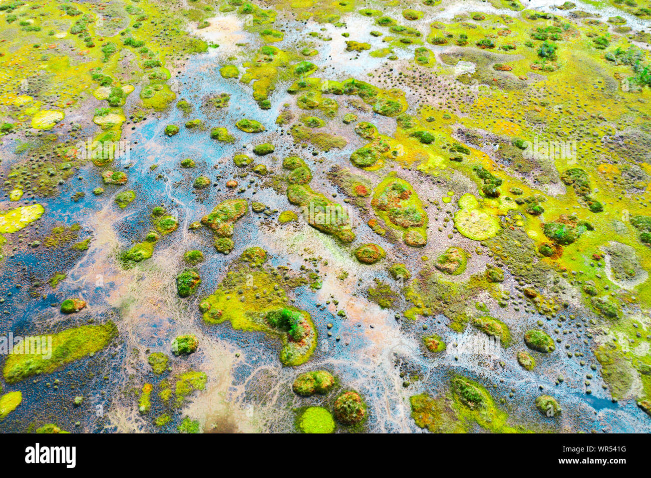 Aerial view golden moss hi-res stock photography and images - Alamy