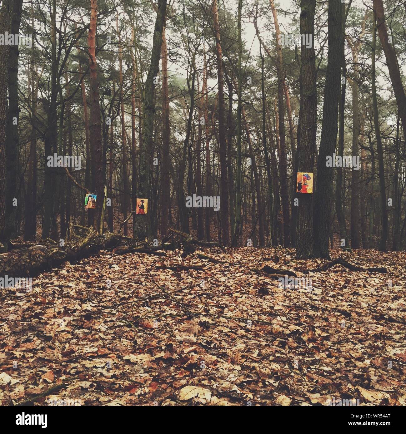 Nature posters hi-res stock photography and images - Alamy