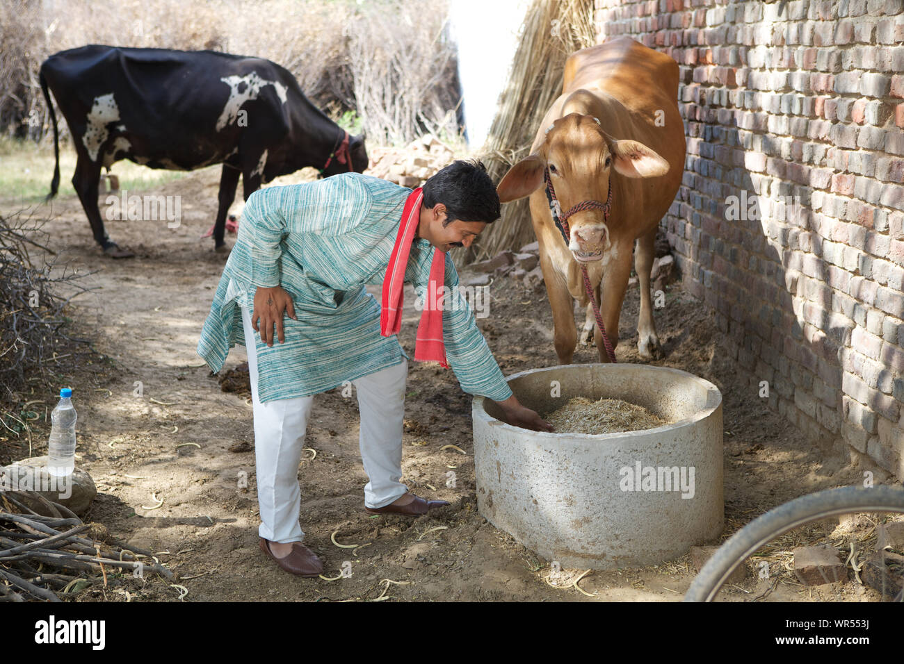 Farmer feeding hi-res stock photography and images - Alamy
