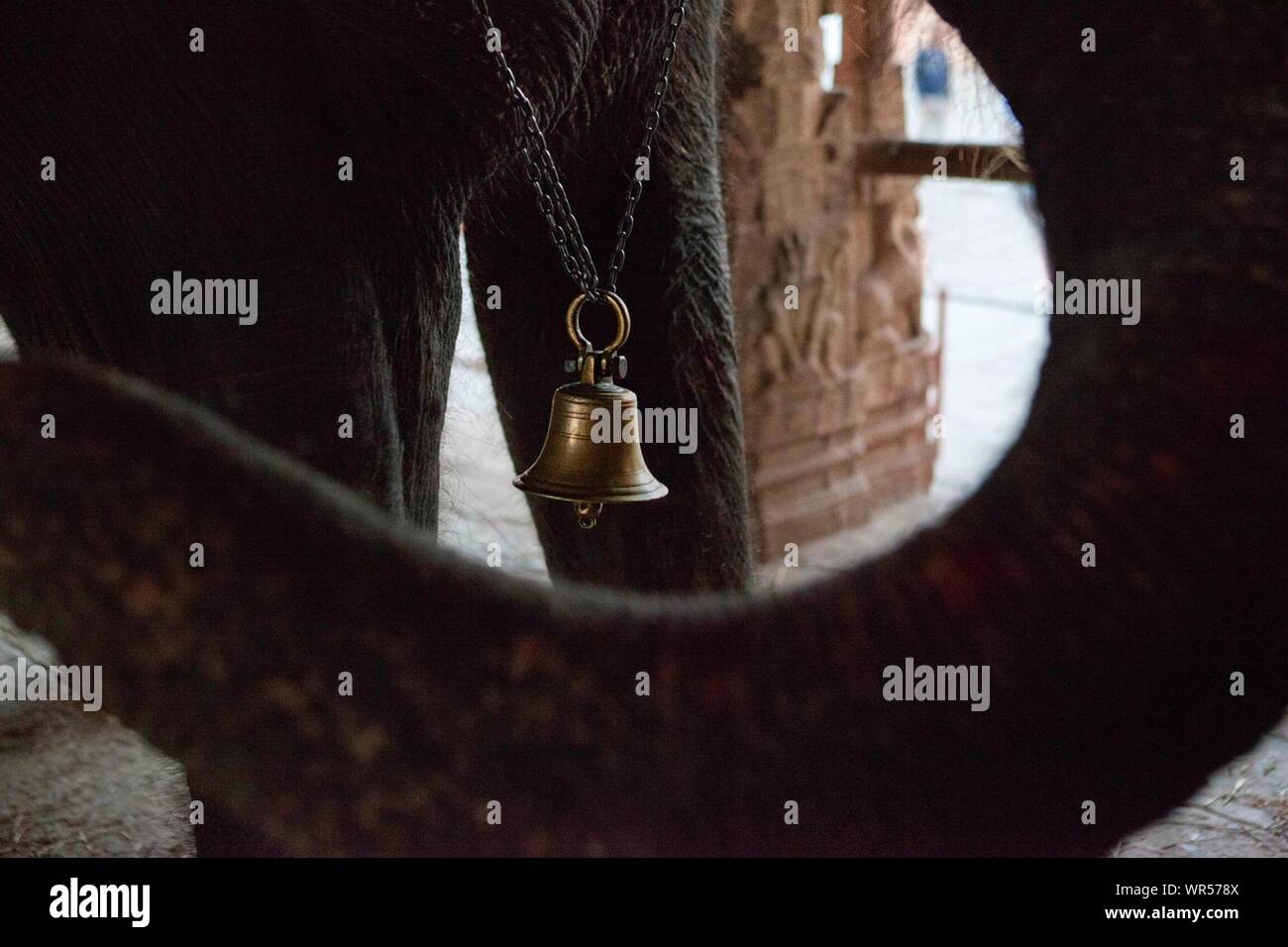 Hanging by the neck hi-res stock photography and images - Alamy