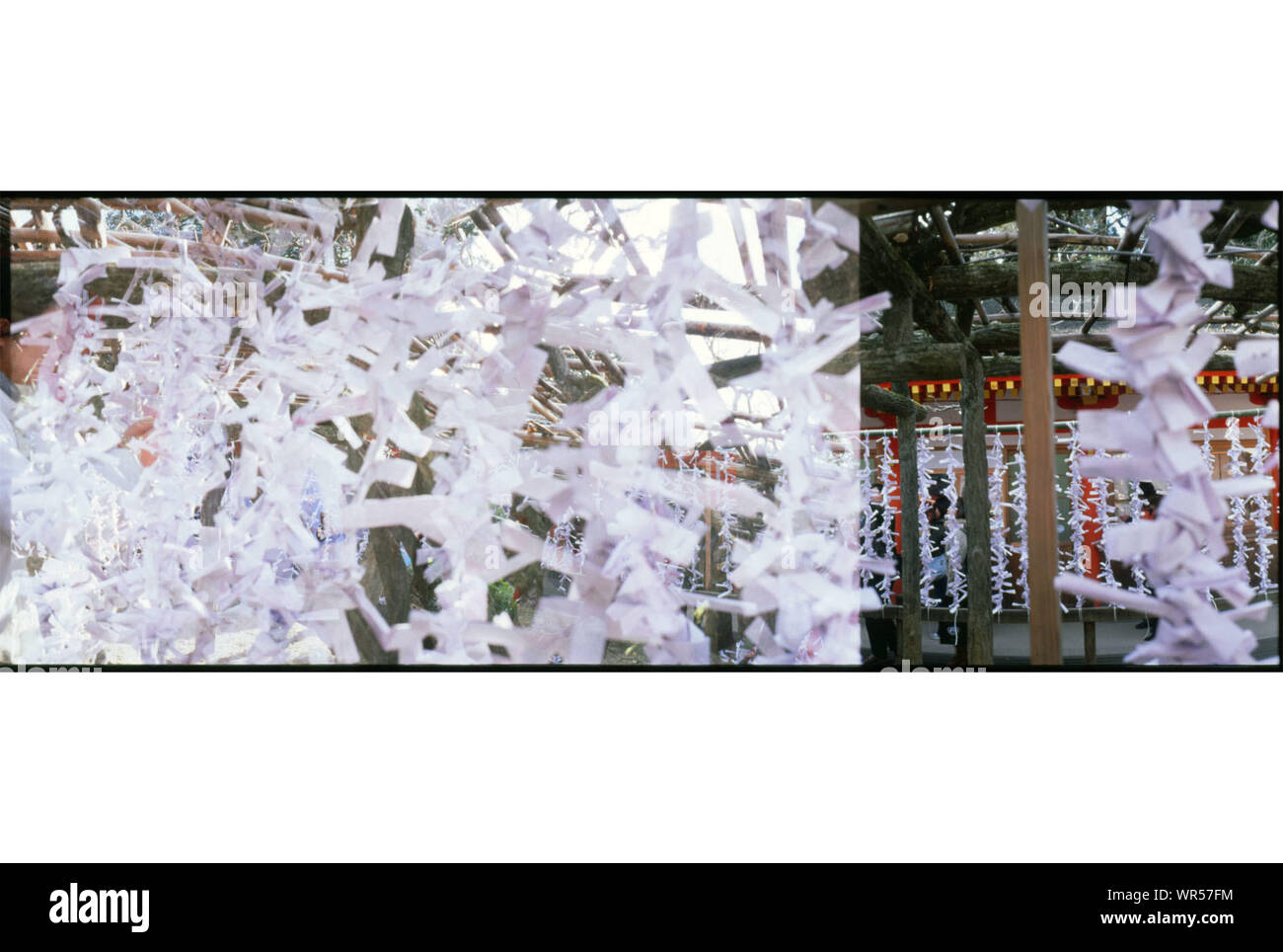 Rows of paper hi-res stock photography and images - Alamy