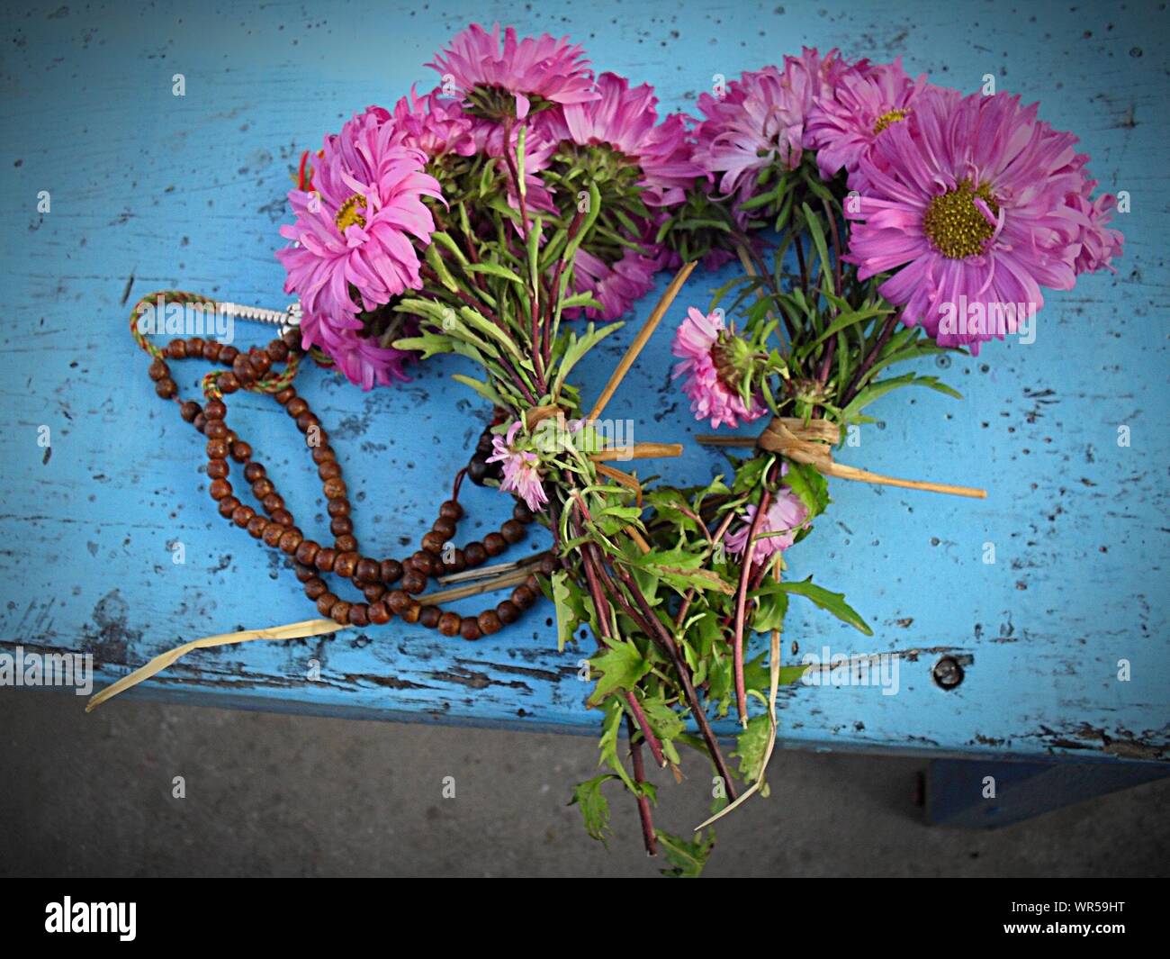 Bunch of blue flowers hi-res stock photography and images - Alamy