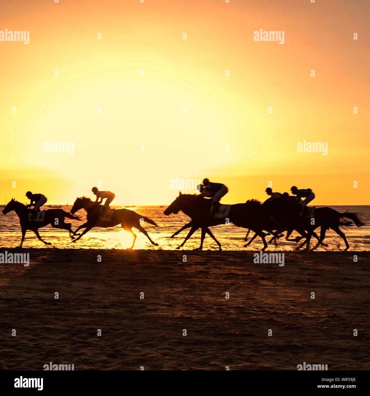 Horse on beach sunset hi-res stock photography and images - Alamy