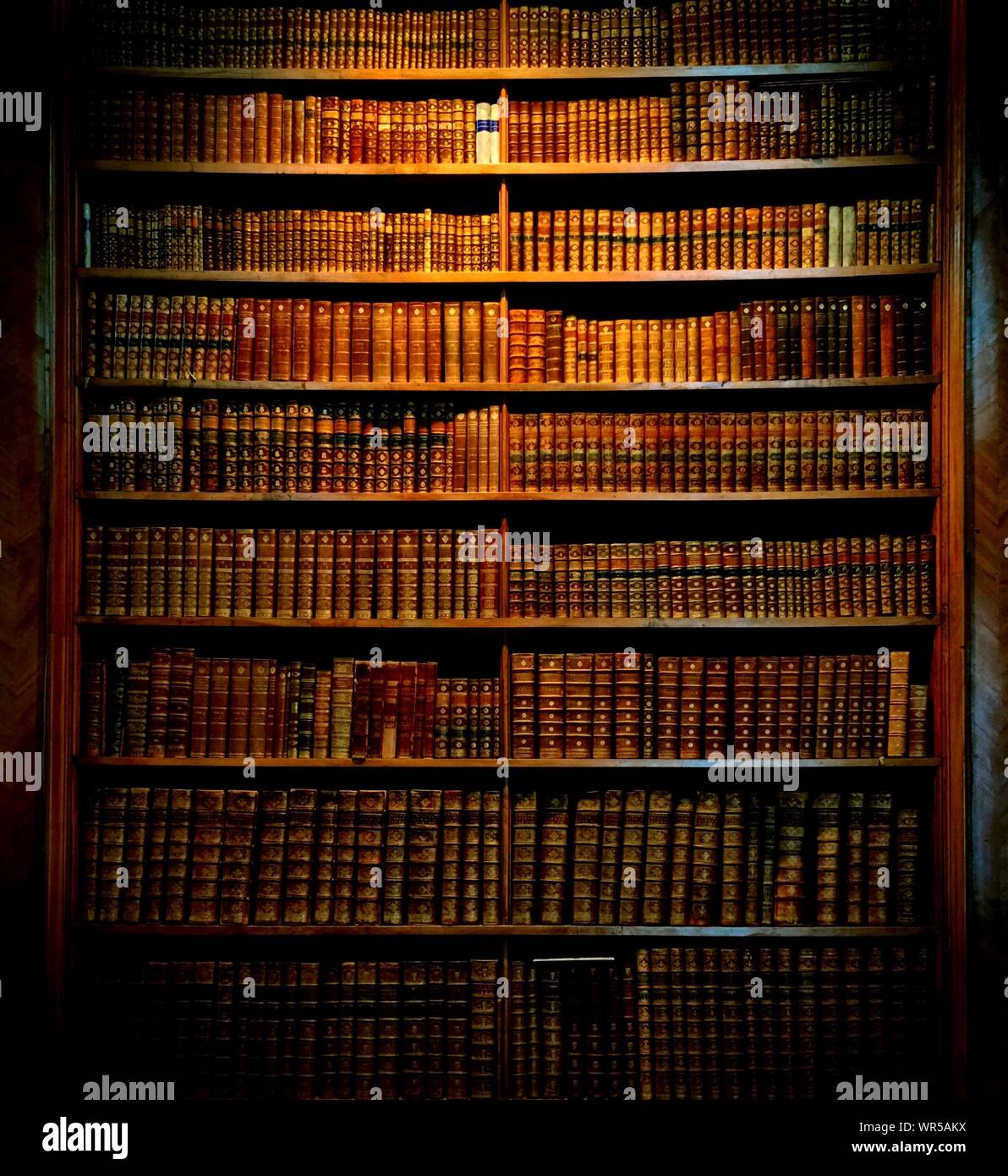 Full bookshelf hi-res stock photography and images - Alamy