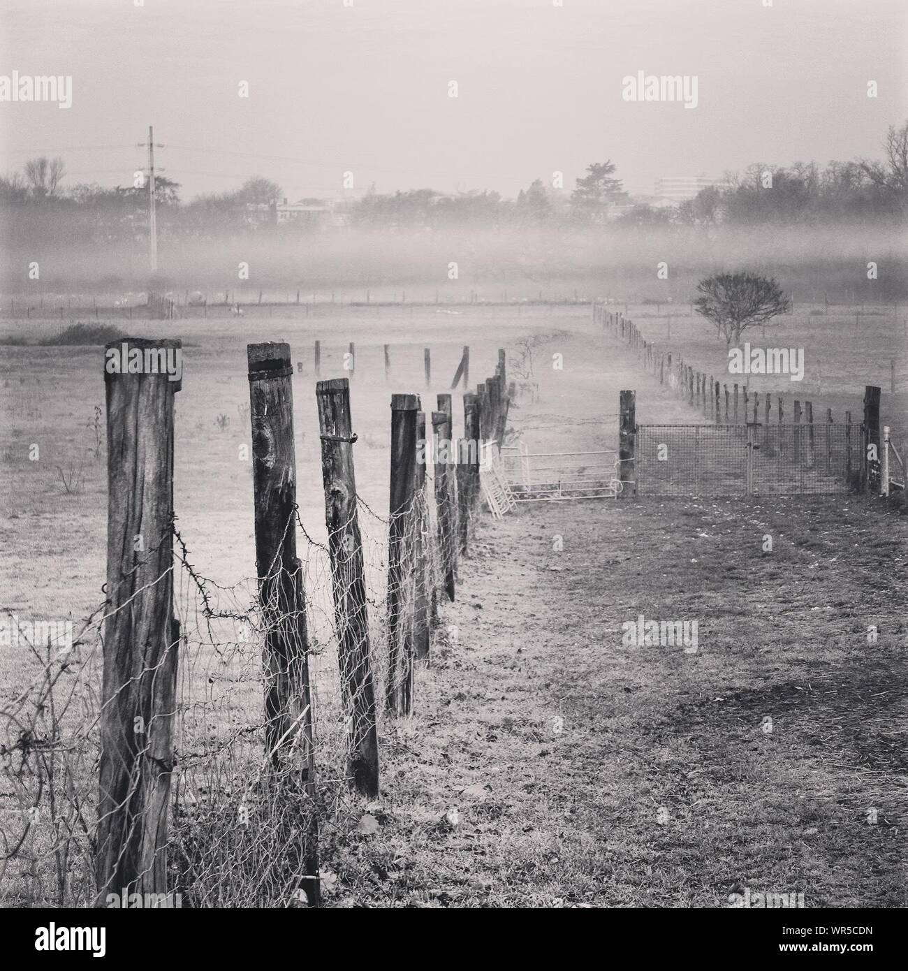 Pole pathway hi-res stock photography and images - Alamy