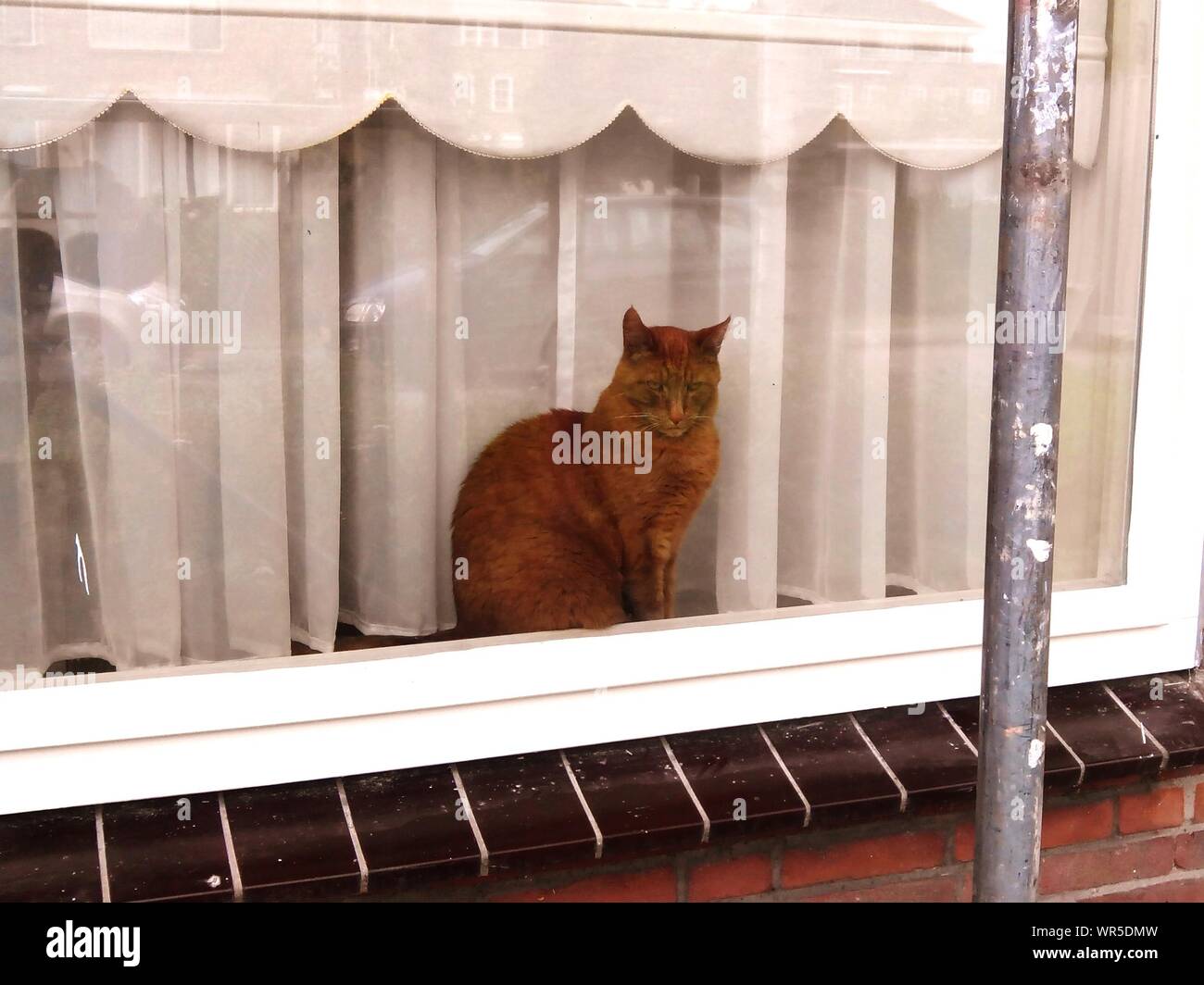 Car Sitting In Window Sill Stock Photo - Alamy