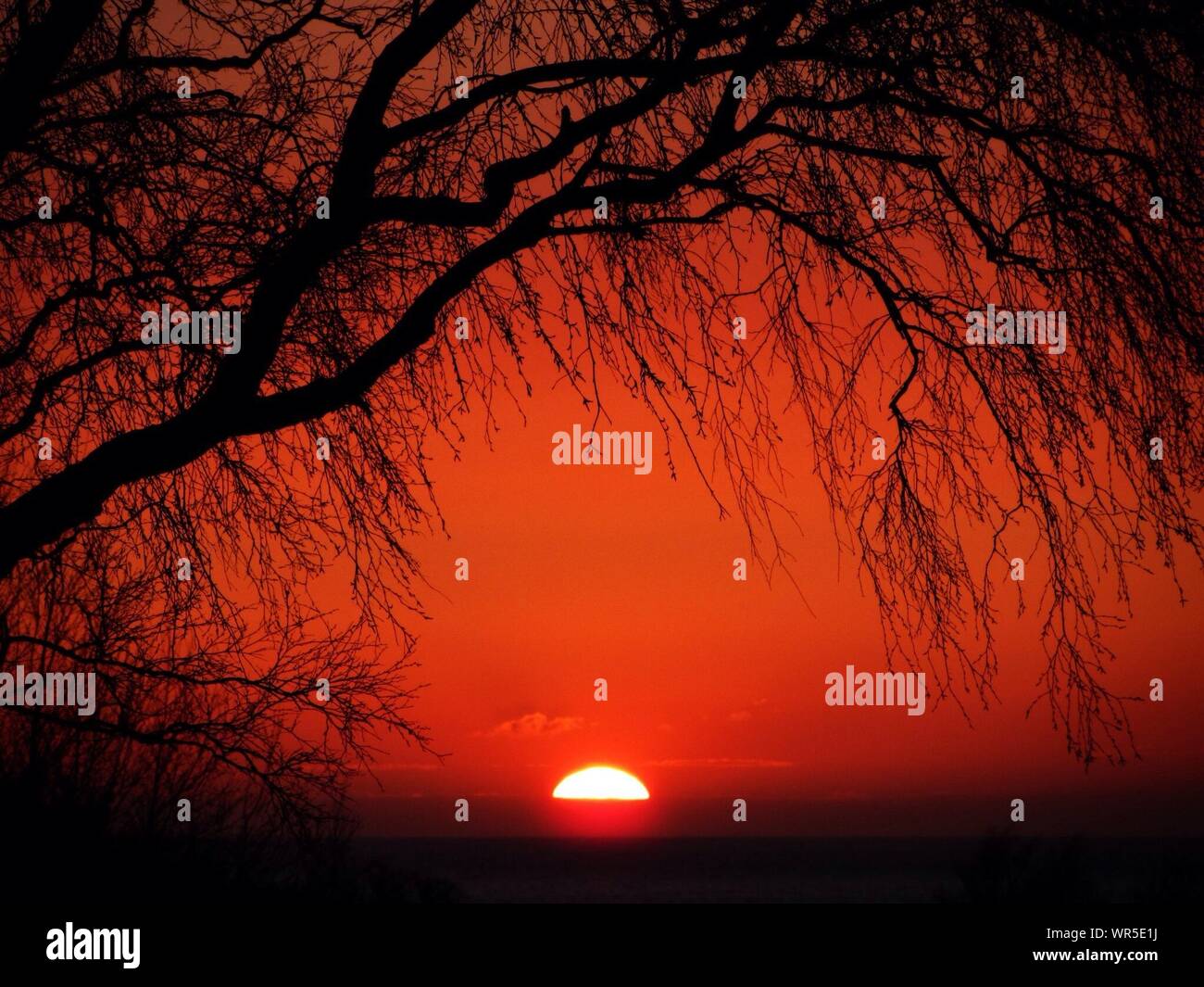 Fire Red Dawn Sky Forest High Resolution Stock Photography and Images ...