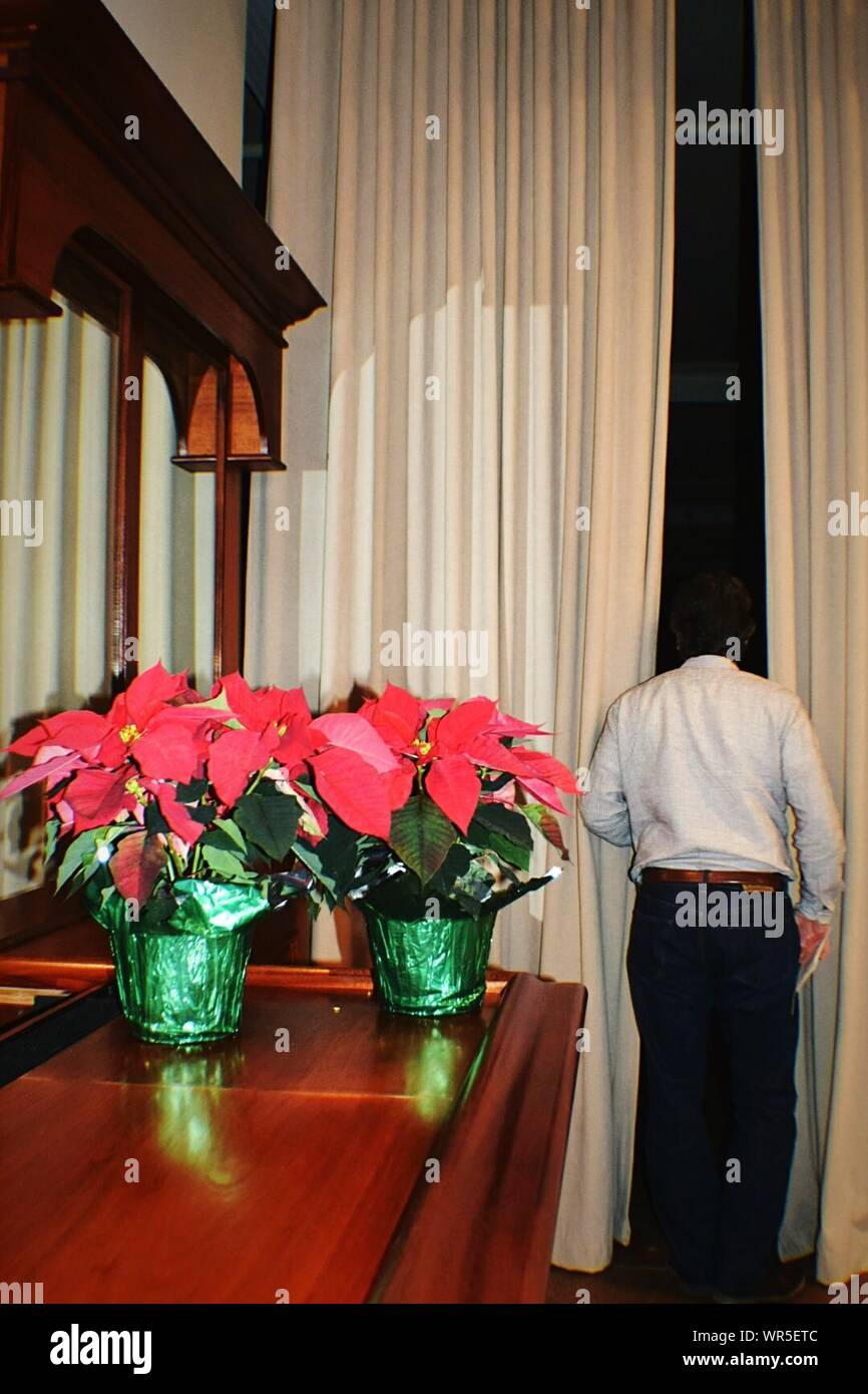 Man Peeking Window High Resolution Stock Photography and Images - Alamy