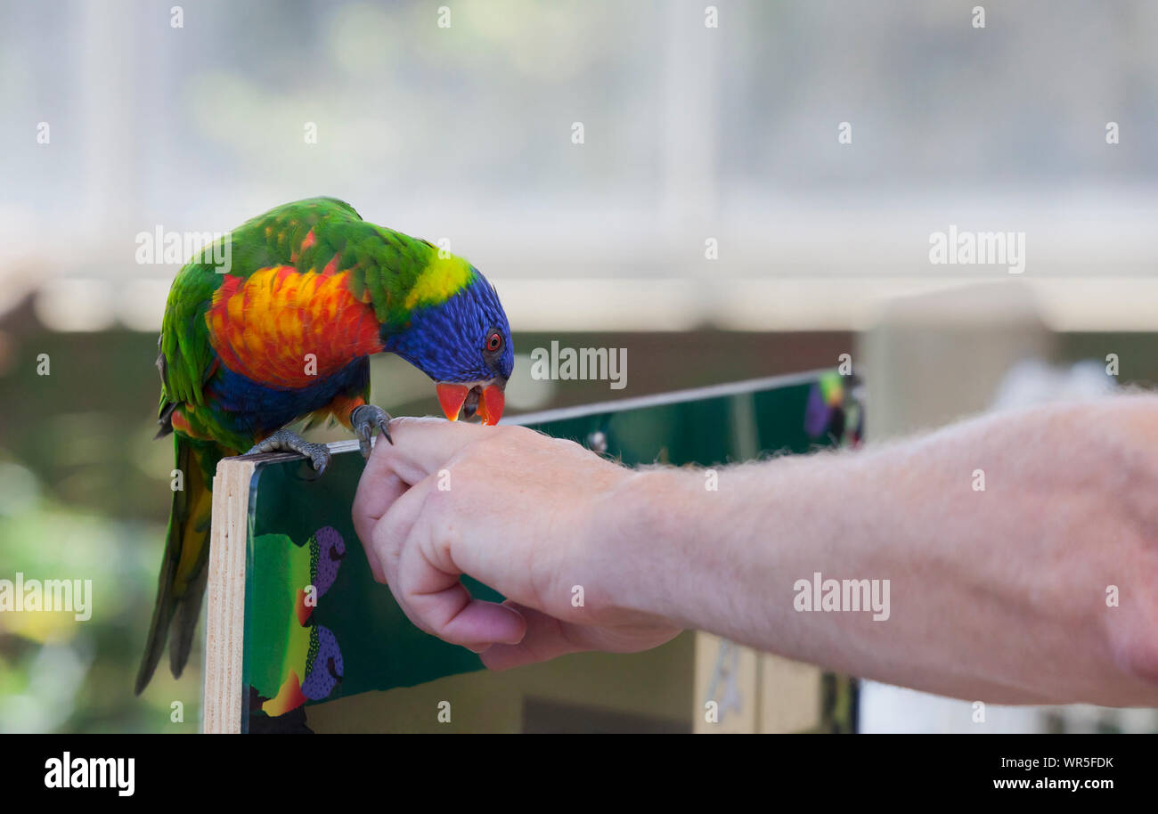 Finger biting hi-res stock photography and images - Alamy