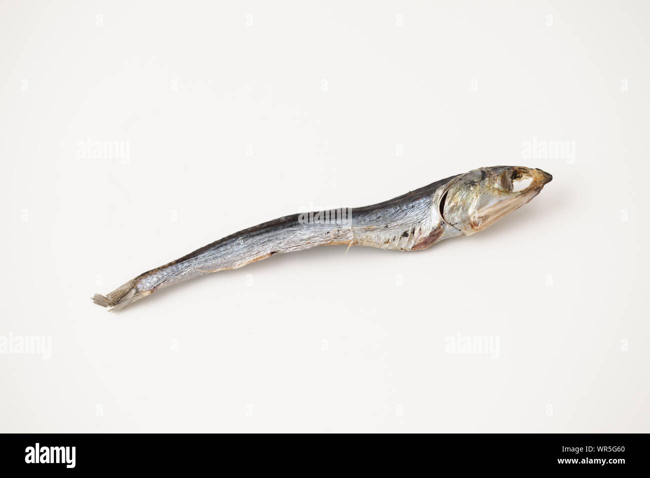 grilled dried fish isolated on white background Stock Photo - Alamy