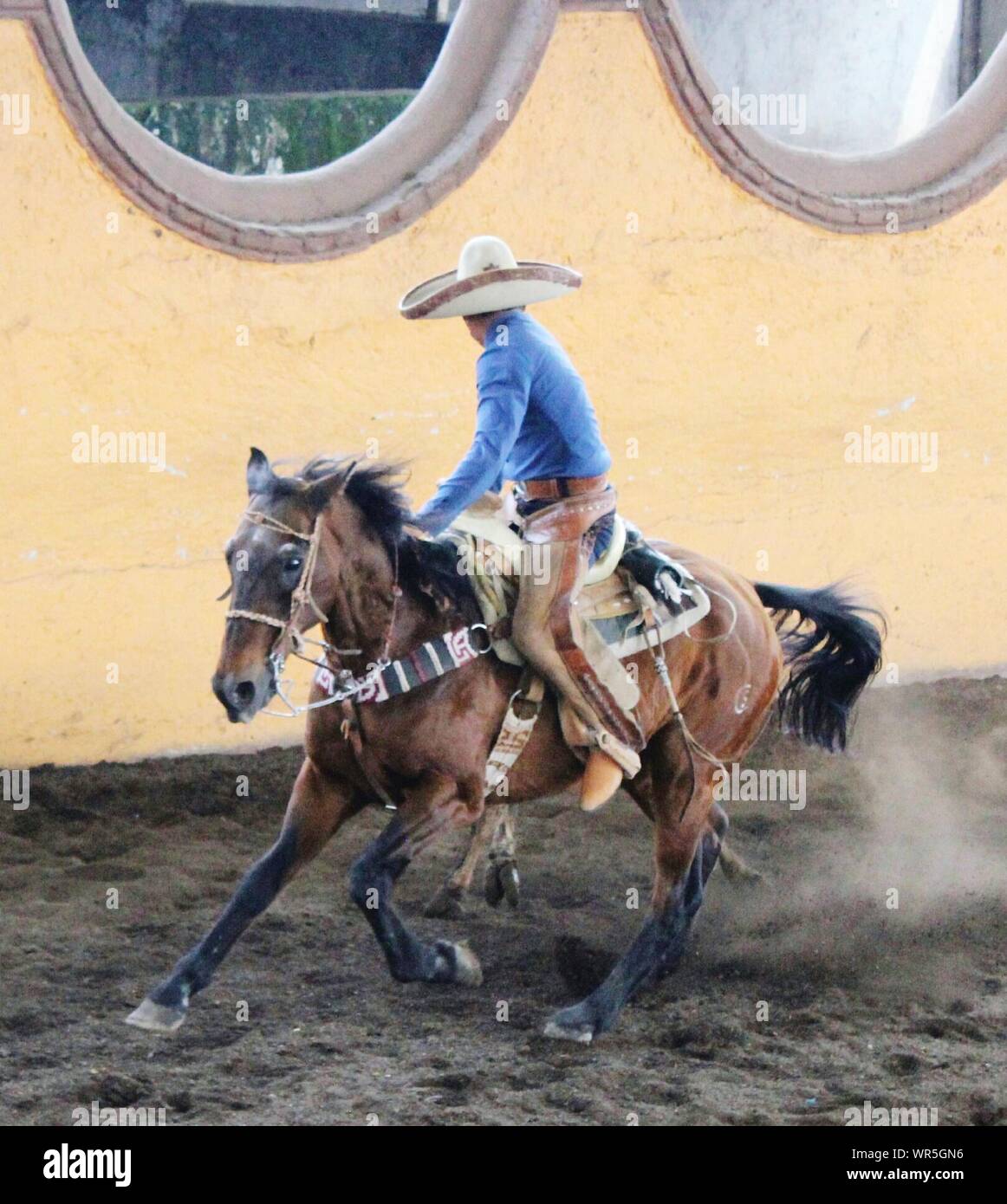 Horse running cowboy hi-res stock photography and images - Alamy