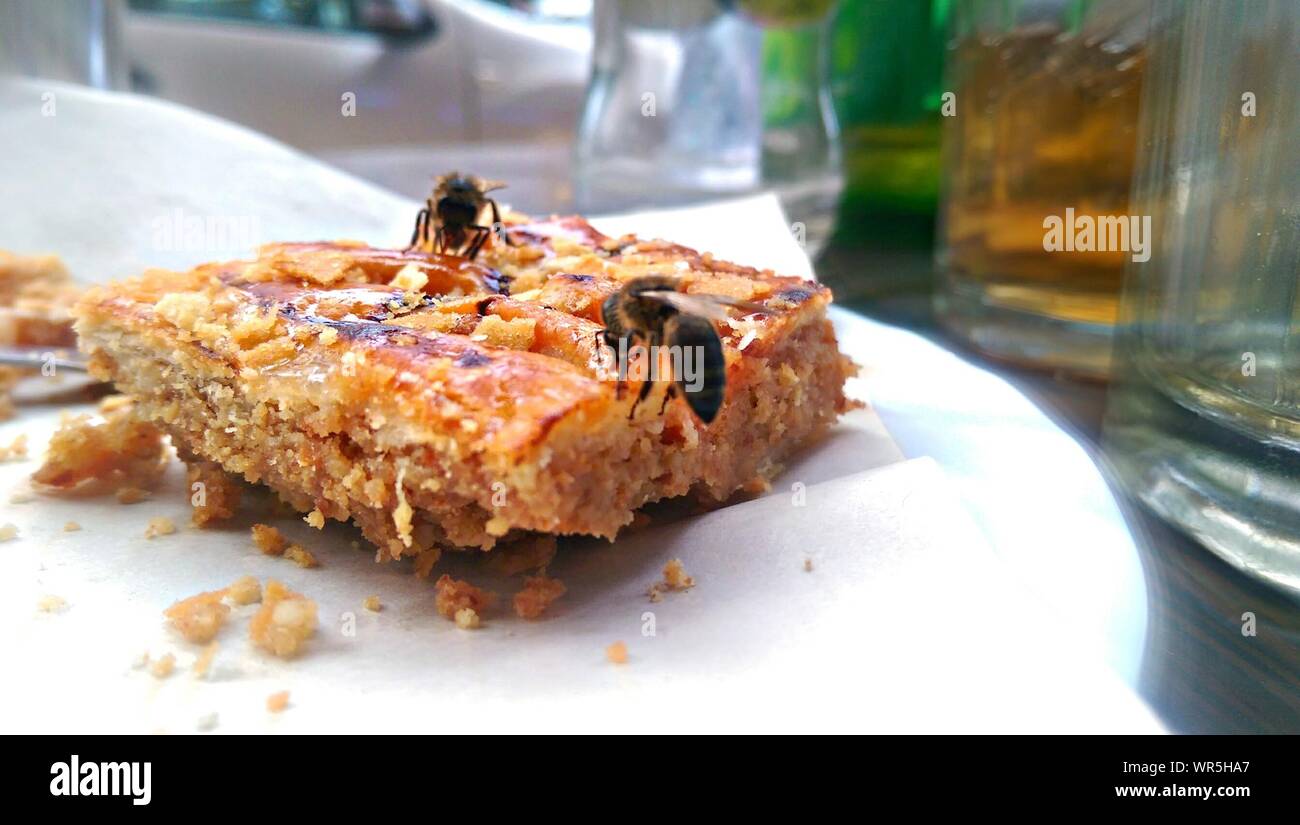 Insects in food hi-res stock photography and images - Alamy