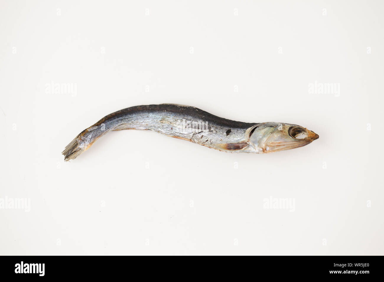 grilled dried fish isolated on white background Stock Photo - Alamy