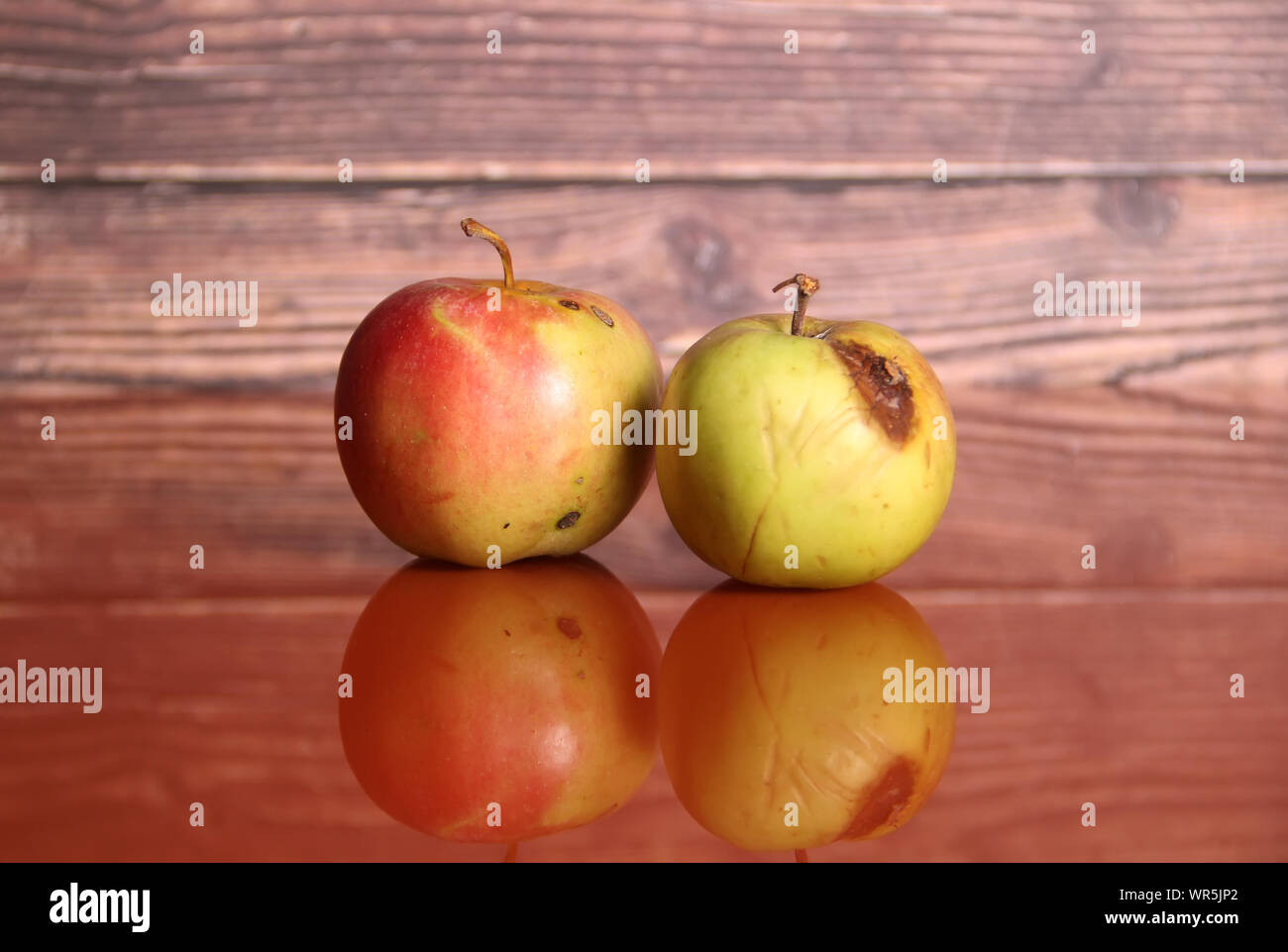 Wormy fruit hi-res stock photography and images - Alamy