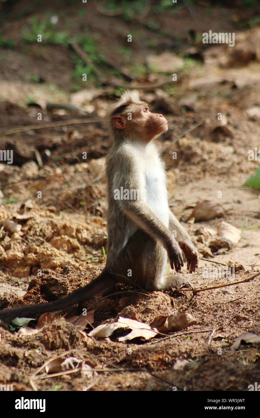 Full distance hi-res stock photography and images - Alamy