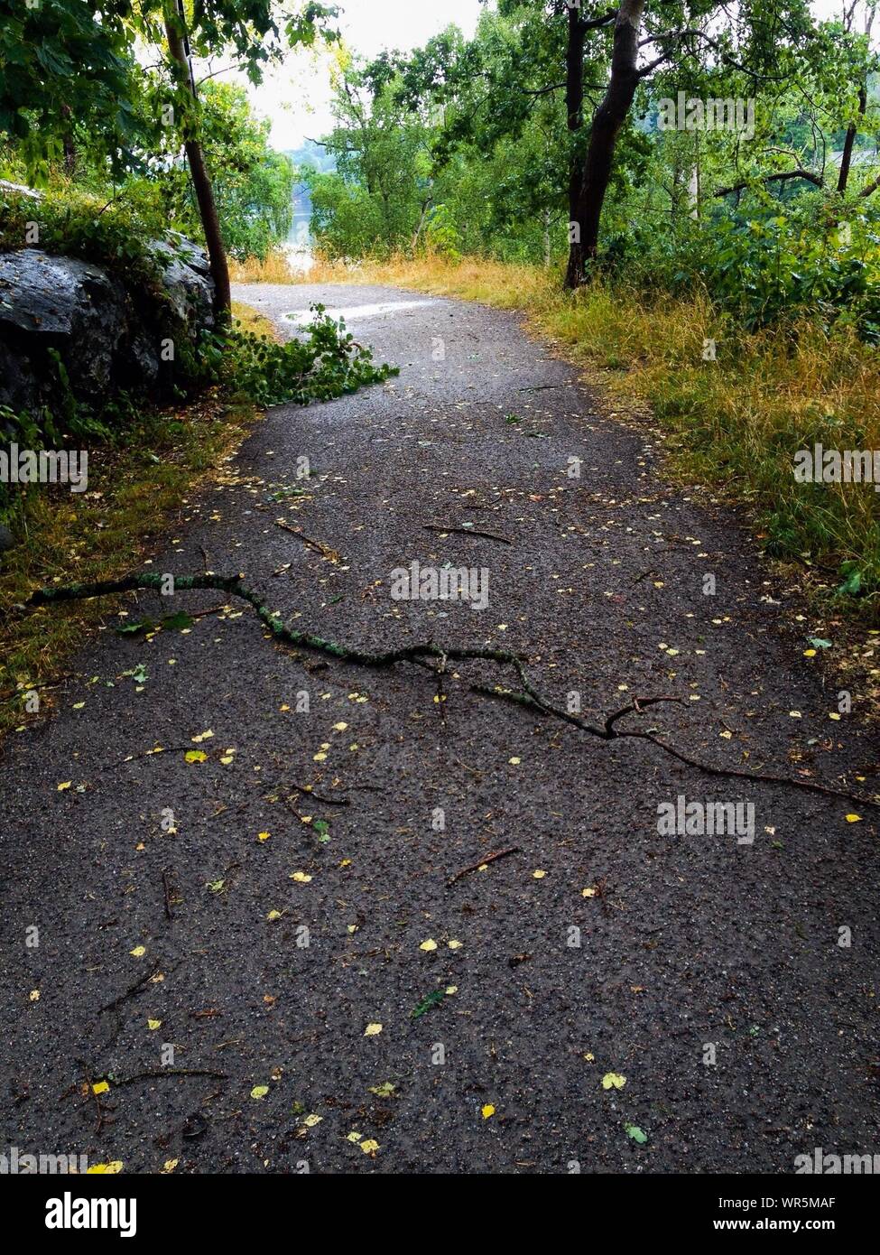 Curved Pathway High Resolution Stock Photography and Images - Alamy