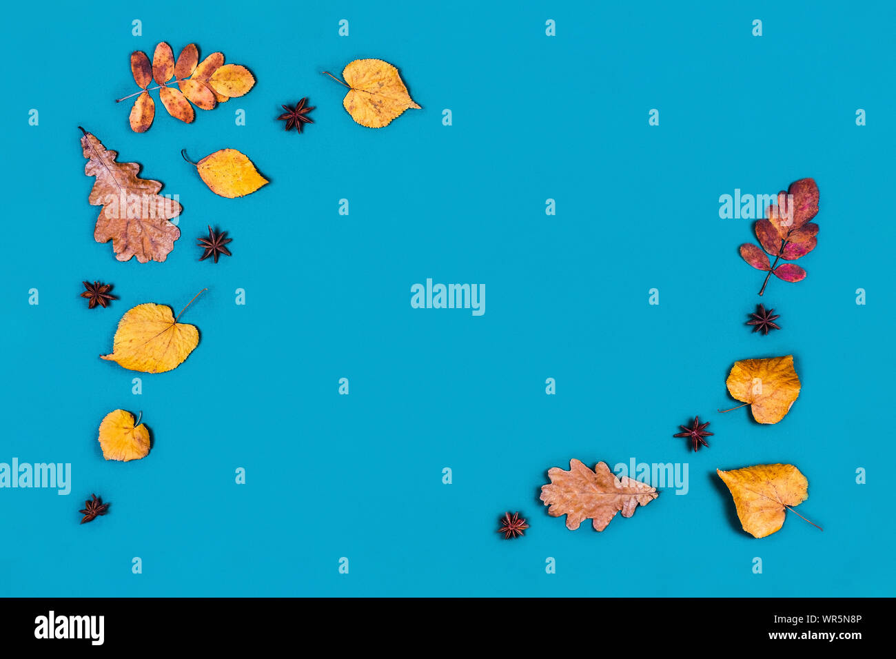 Autumn composition. Different dry leaves on turquoise isolated ...