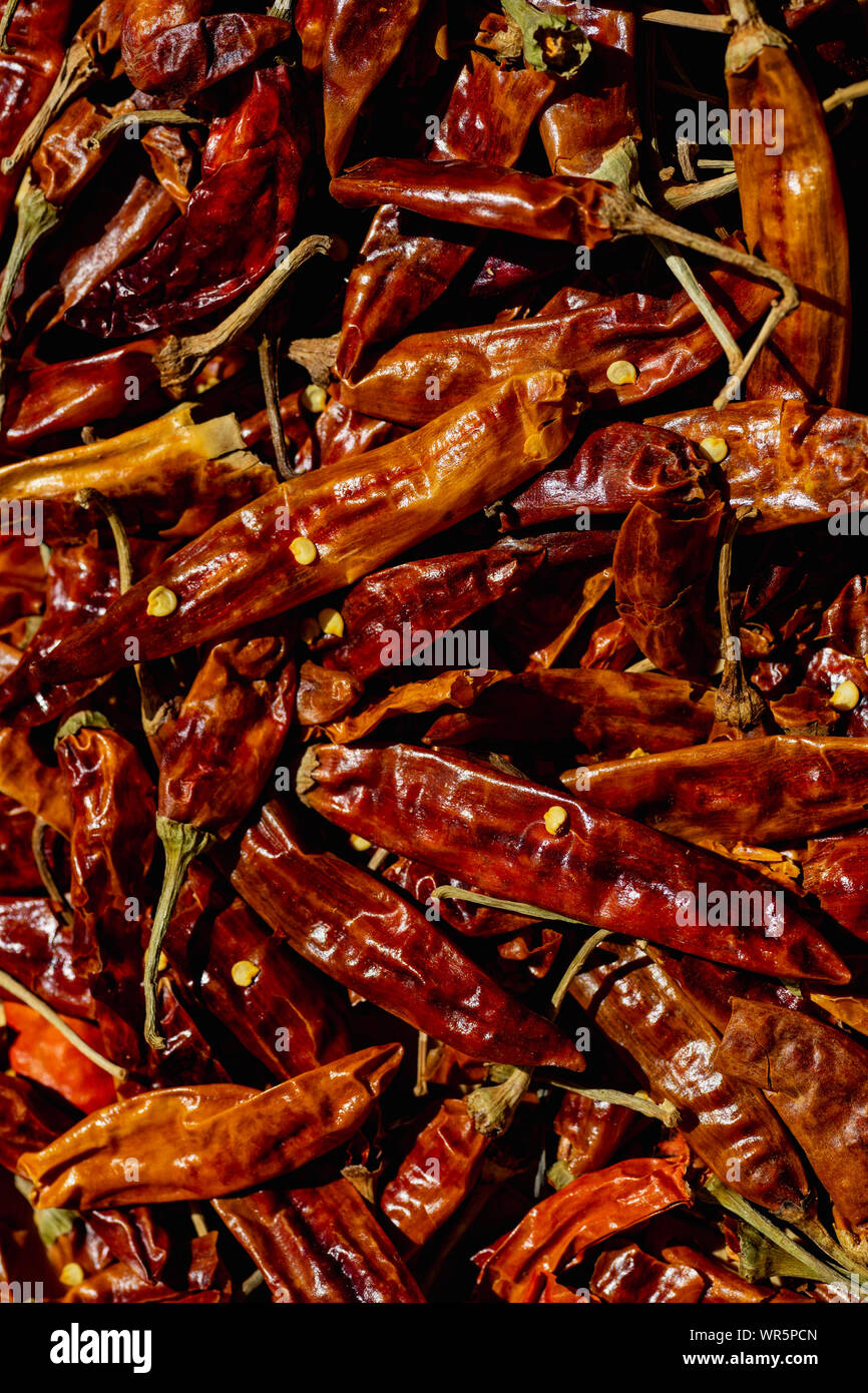 Whole dried chilli peppers with seeds lying in sunlight beam Stock ...