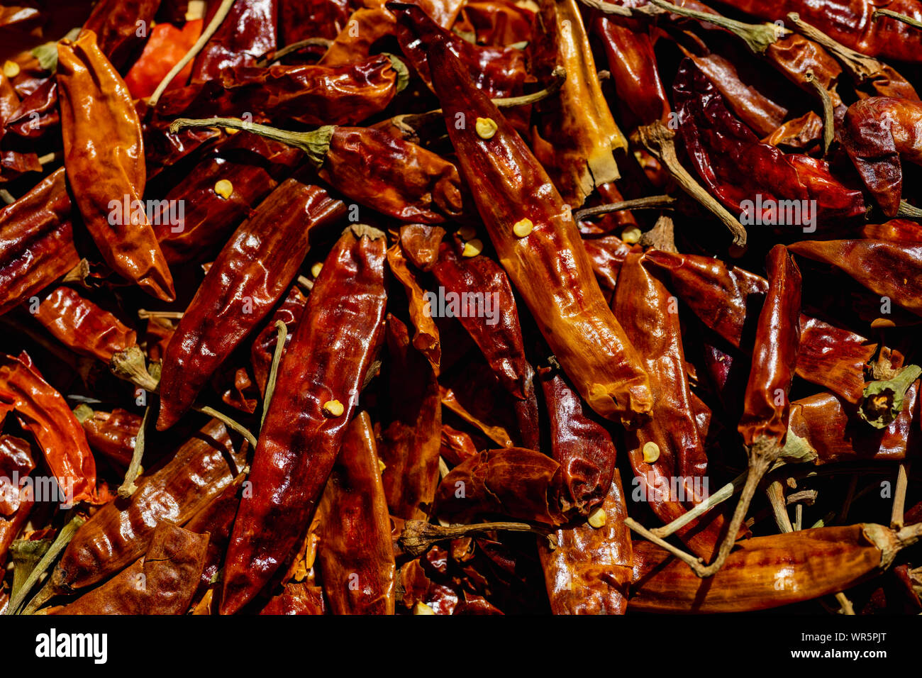 Whole dried chilli peppers with seeds lying in sunlight beam Stock ...