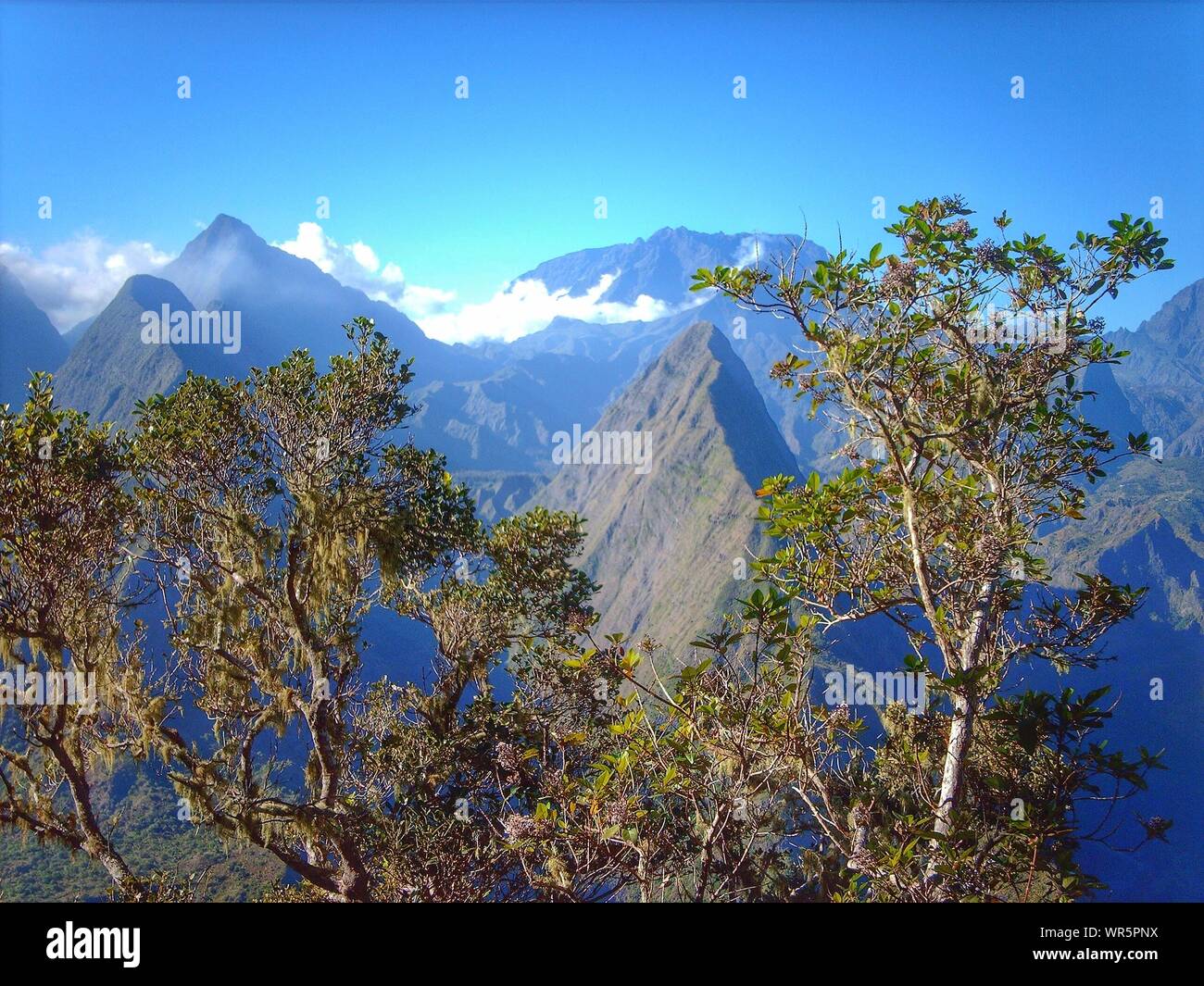 Tree range hi-res stock photography and images - Alamy