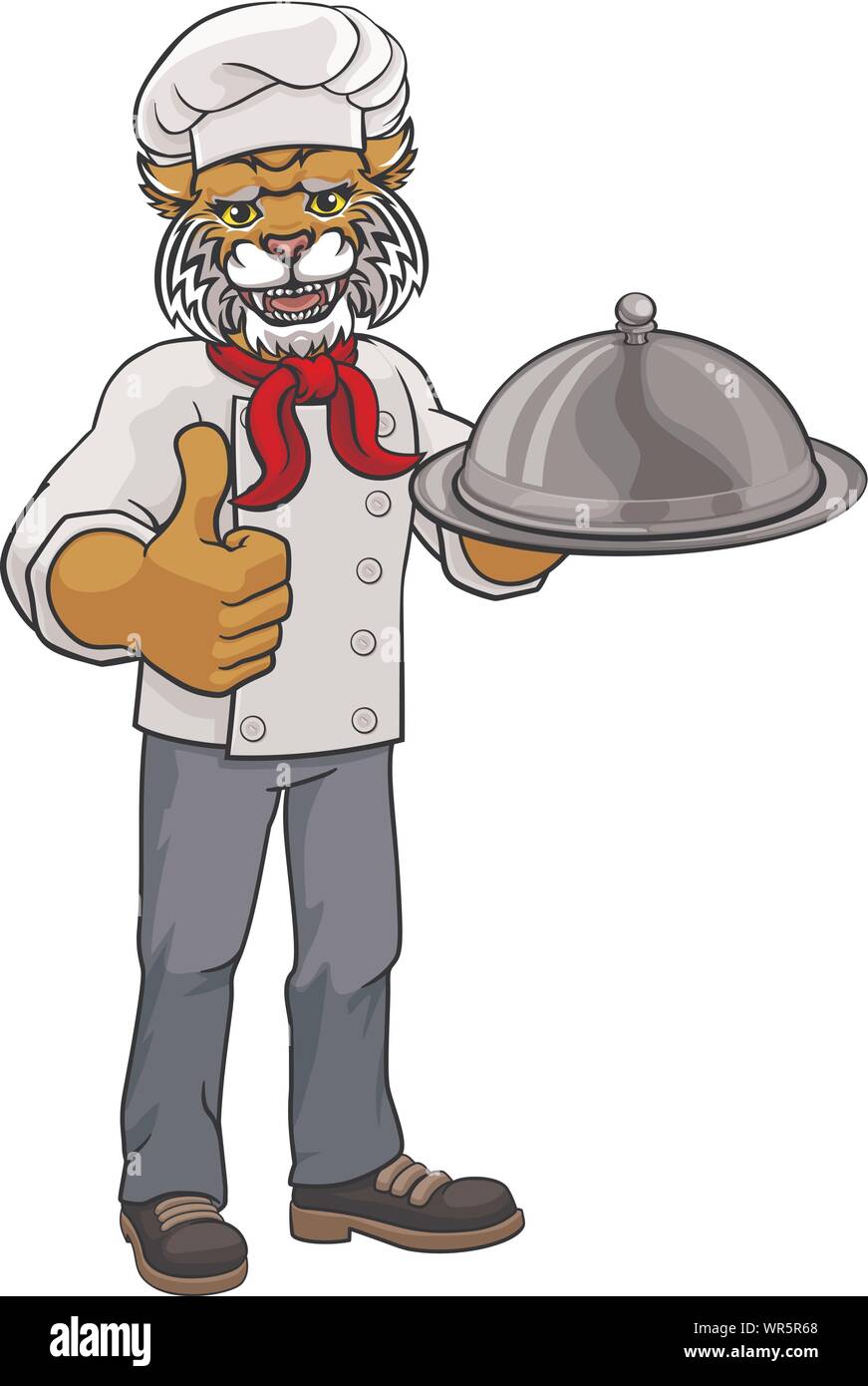 Wildcat Chef Mascot Cartoon Character Stock Vector Image & Art - Alamy