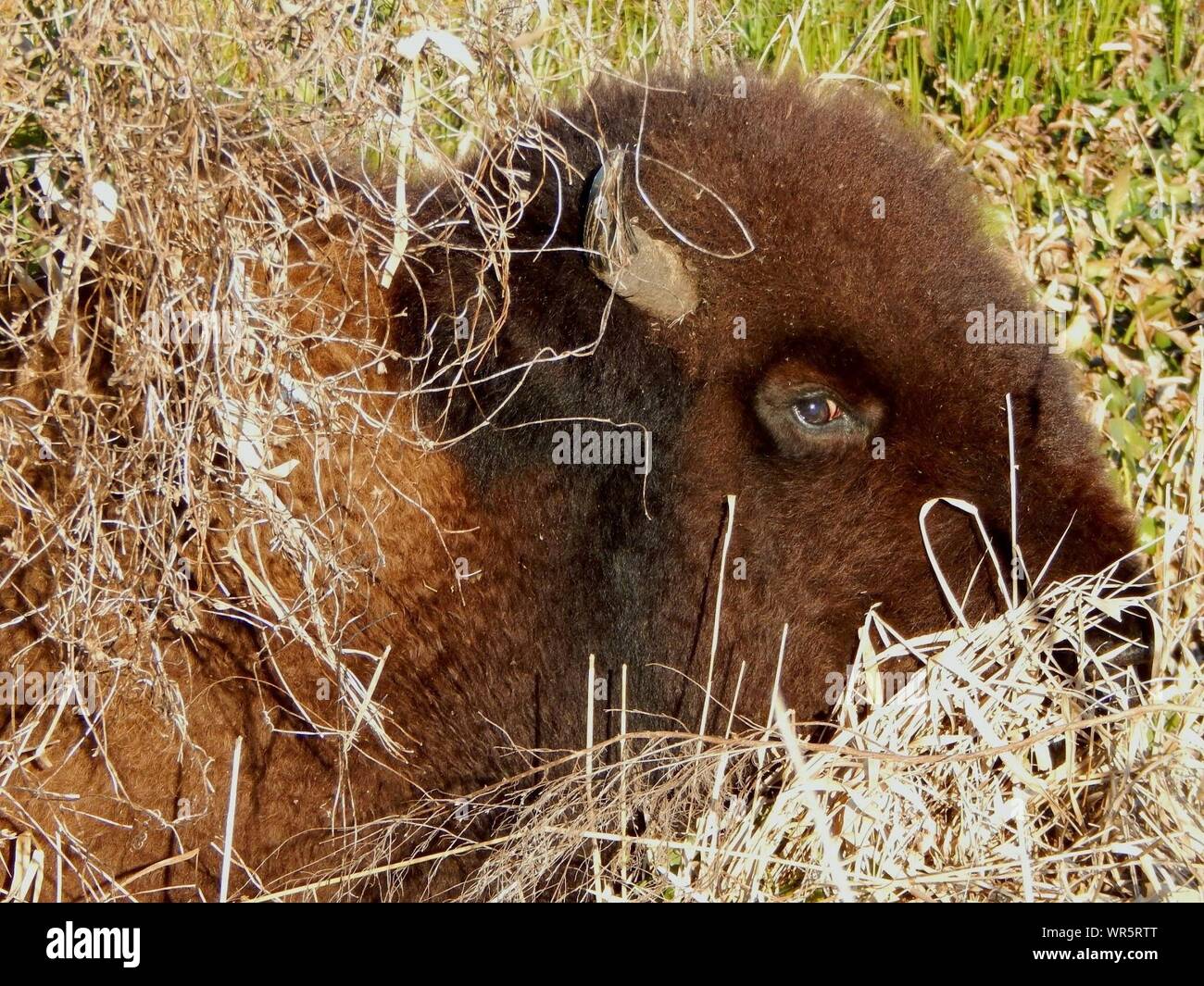 Nature preserve state park hi-res stock photography and images - Alamy