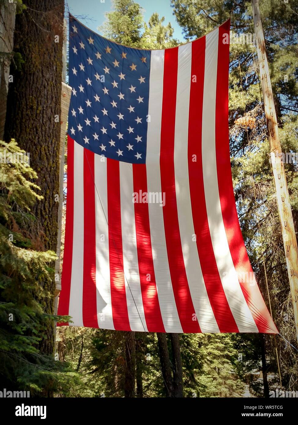 Flag and trees hi-res stock photography and images - Alamy