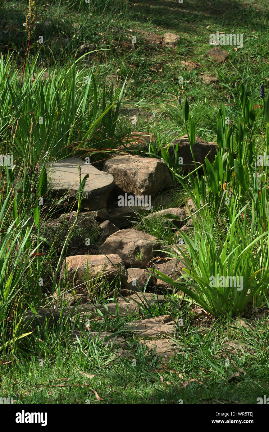Pathway to pond hi-res stock photography and images - Alamy