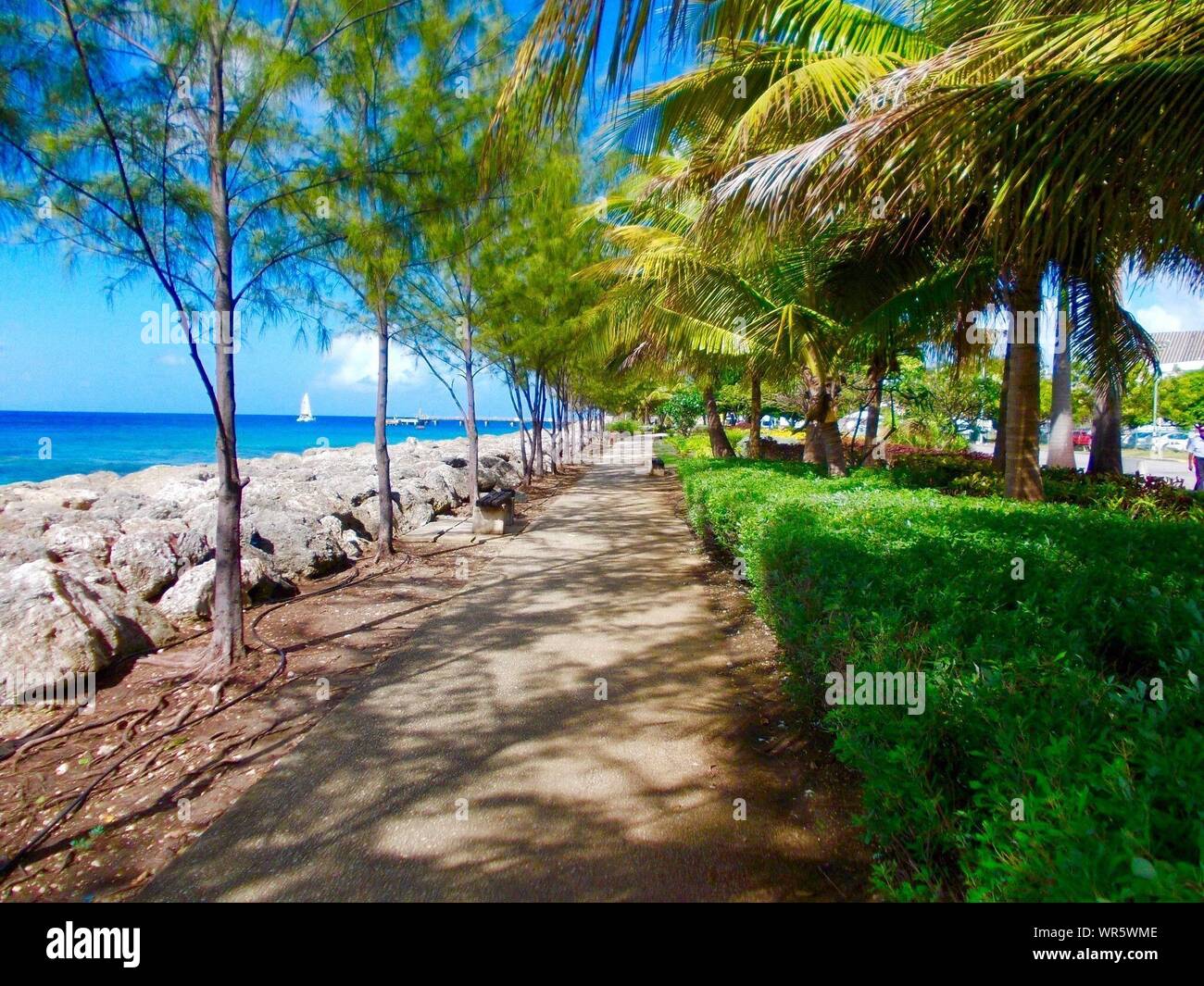 Seaside hedge hi-res stock photography and images - Alamy