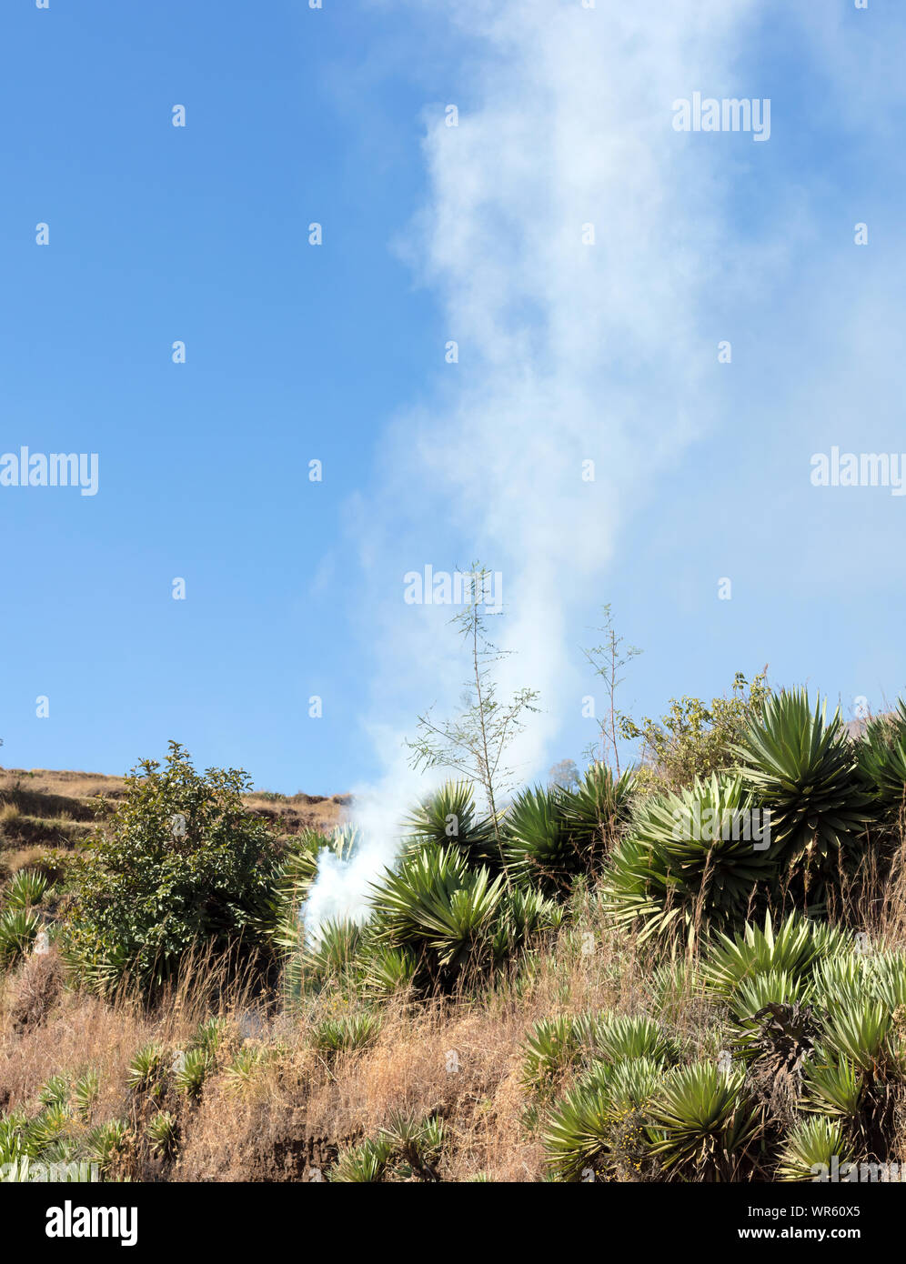 Smoking out rodents, protecting the local crops, Madagascar Stock Photo ...