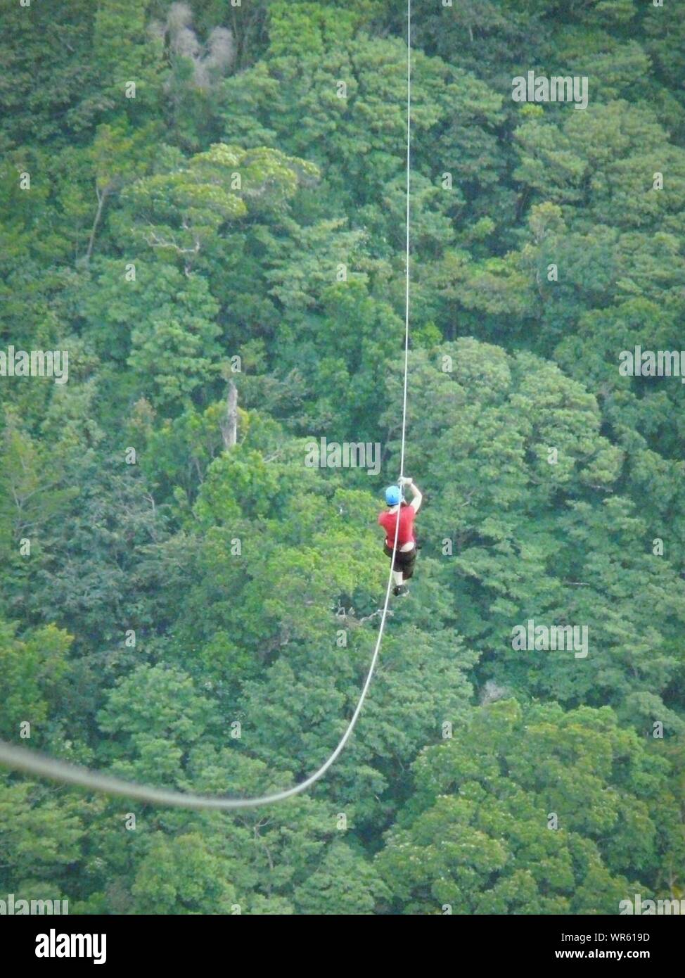 Rainforest canopy exploration hi-res stock photography and images - Alamy