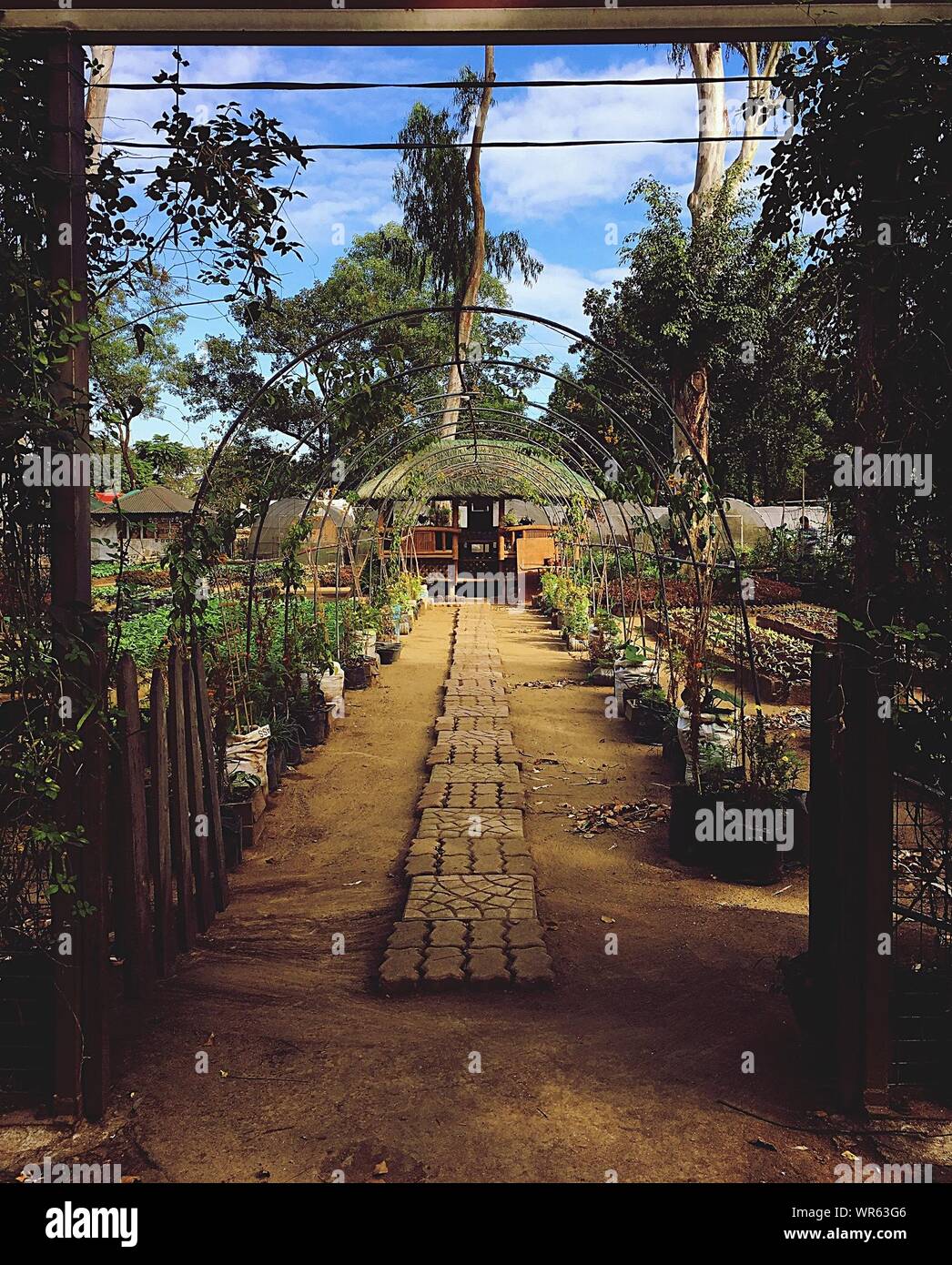 Greenhouse with walkway hi-res stock photography and images - Alamy