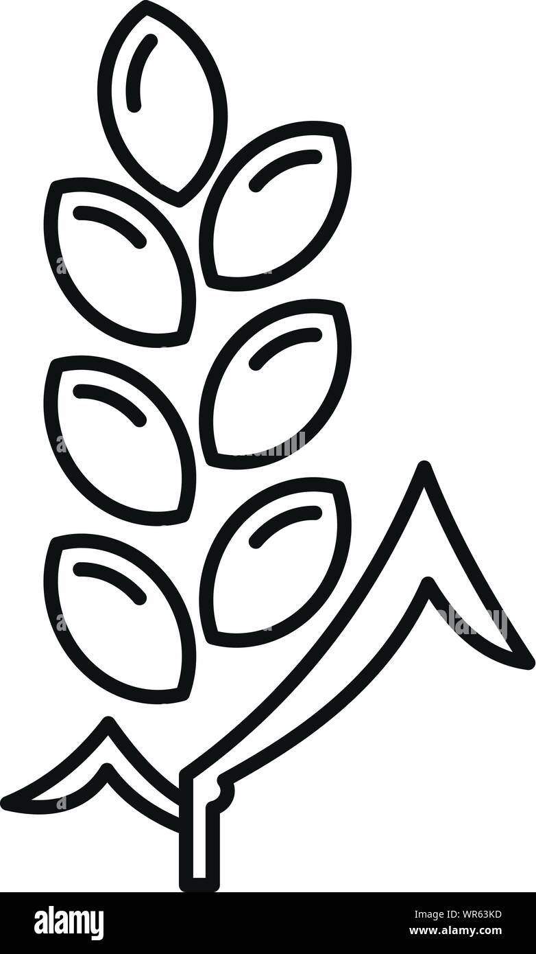 Wheat icon. Outline wheat vector icon for web design isolated on white ...