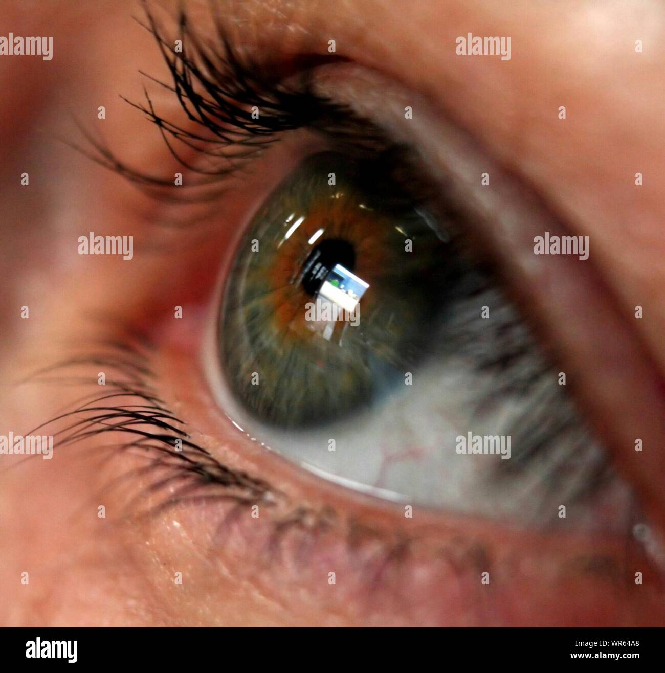 Screen reflection in eyes hi-res stock photography and images - Alamy