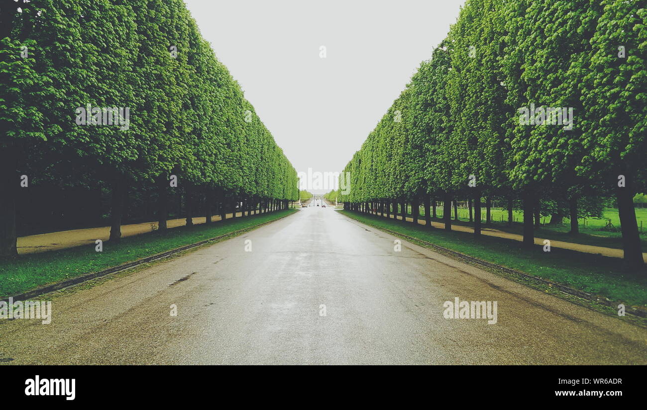 Tree versailles hi-res stock photography and images - Alamy